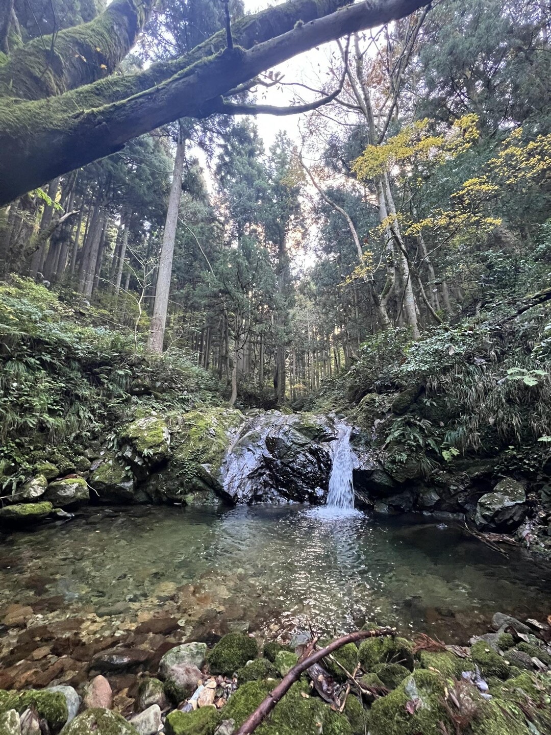 沢登り 富士写ヶ岳🍁 / yamakazuさんのモーメント | YAMAP / ヤマップ