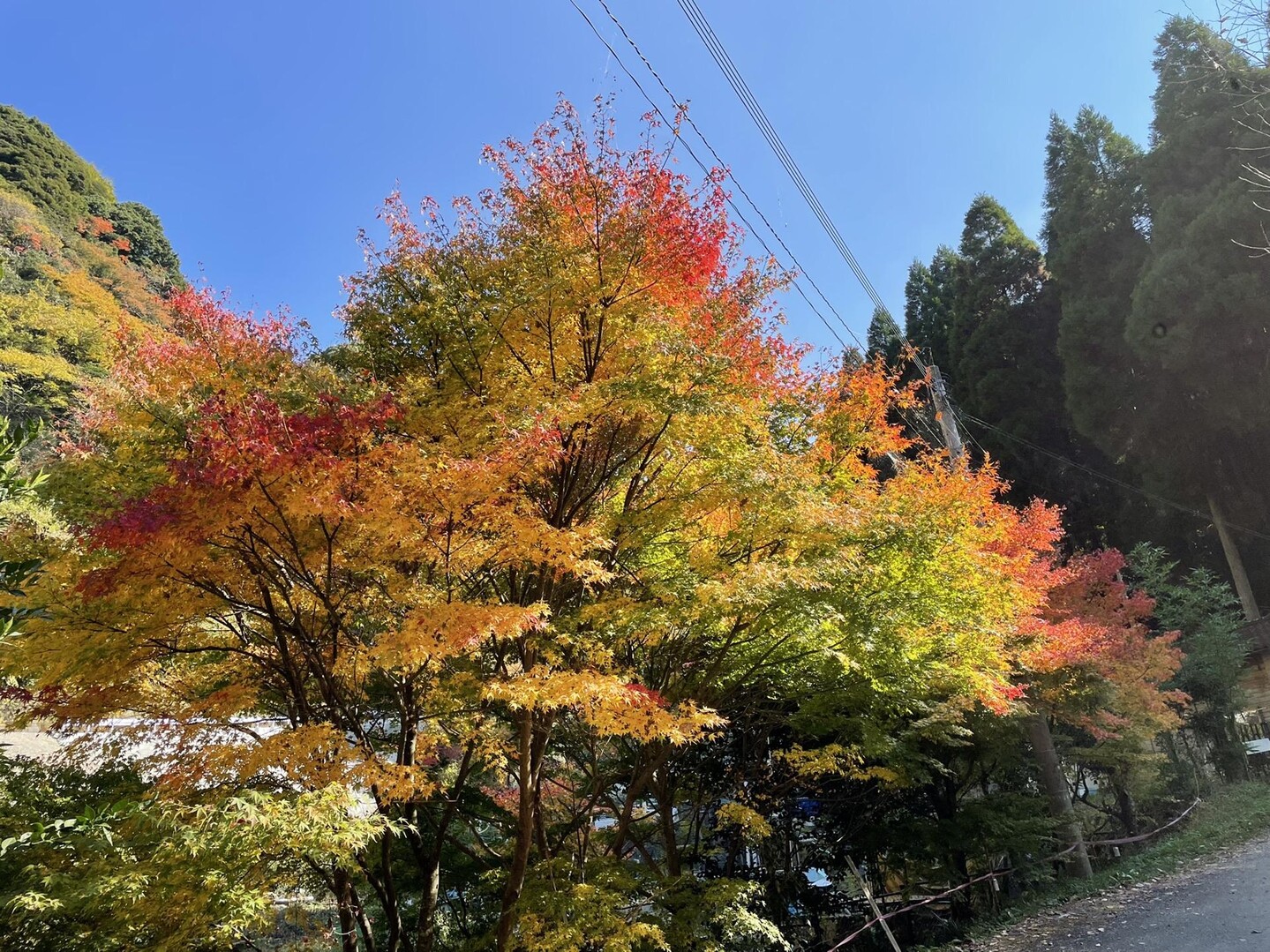 八方ヶ岳 / kinjunさんの八方ヶ岳の活動データ | YAMAP / ヤマップ