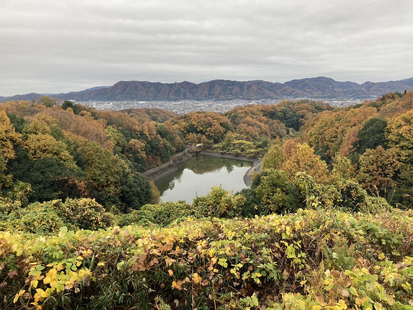 ヤギの赤ちゃんが 産まれてました。 気が... / kozoさんのモーメント | YAMAP / ヤマップ
