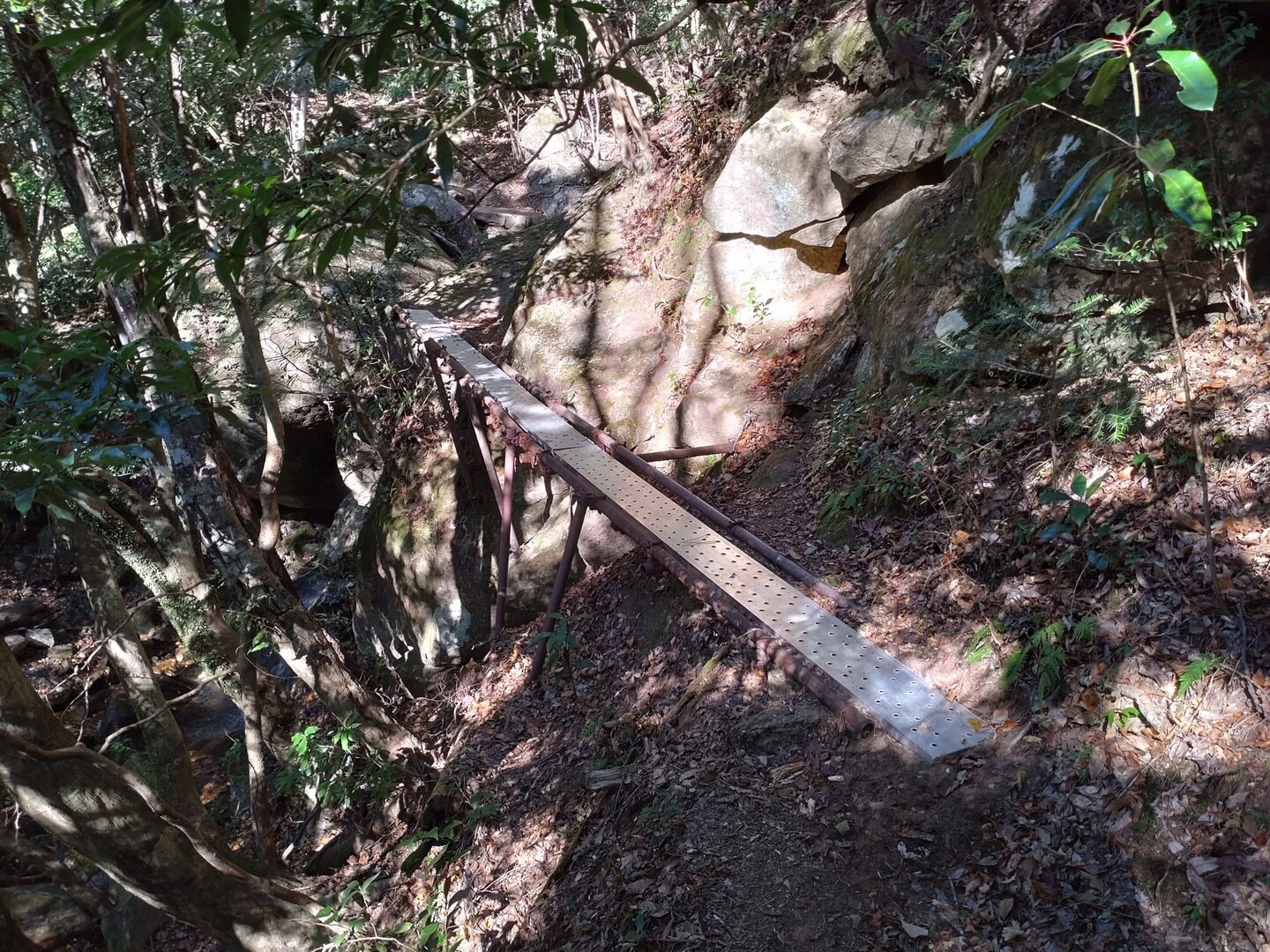 整備ありがとうございました😄 / migiponさんの大崩山・五葉岳・新百姓山の活動データ | YAMAP / ヤマップ