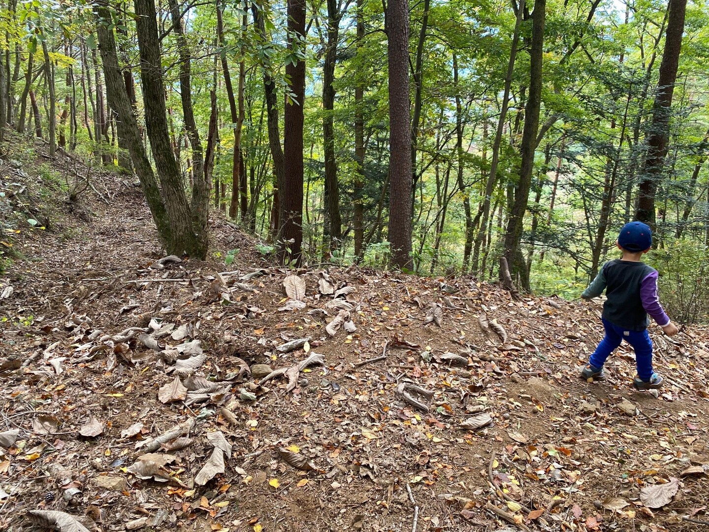 u子【親子山部】さんの投稿したフィールドメモ | YAMAP / ヤマップ