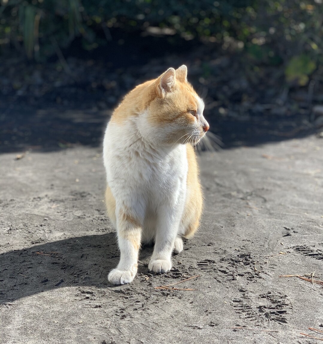 HARUのページ | YAMAP / ヤマップ