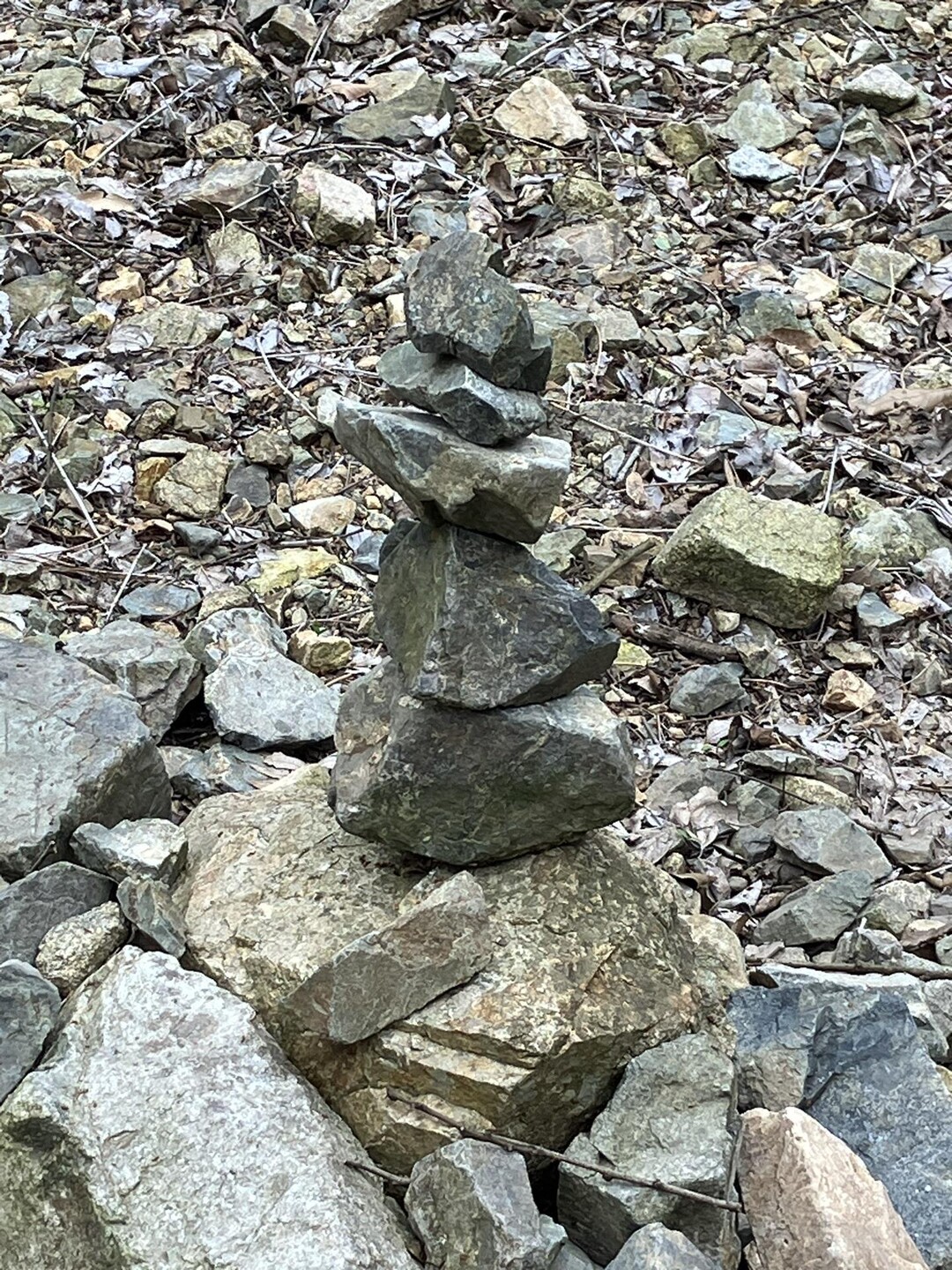 七兵衛山・打越山 / 神戸の亀さんの六甲山・長峰山・摩耶山の活動日記 | YAMAP / ヤマップ