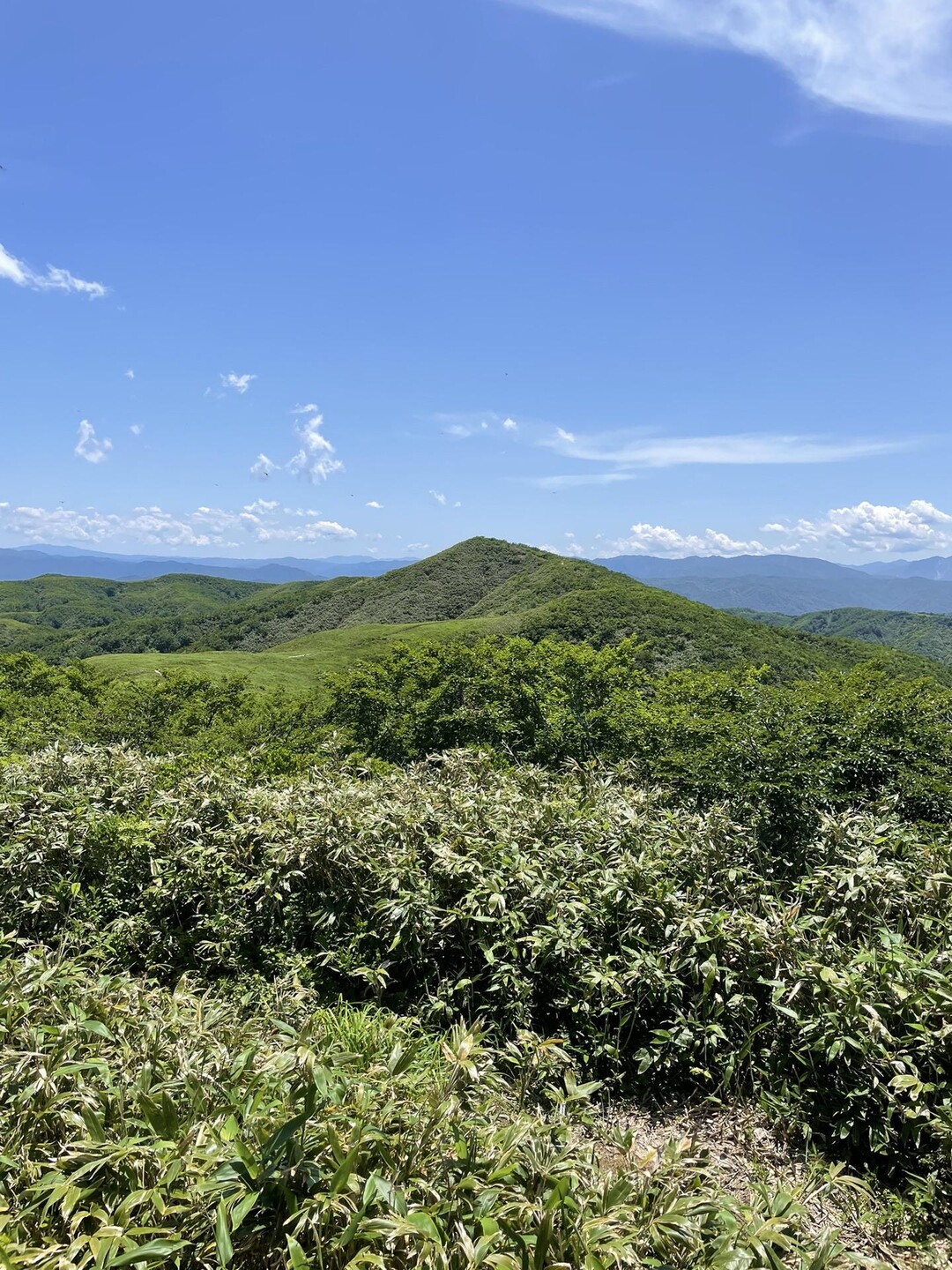 片折岳・前金剛 2023-7-2 / kitaさんの金剛堂山の活動データ | YAMAP / ヤマップ