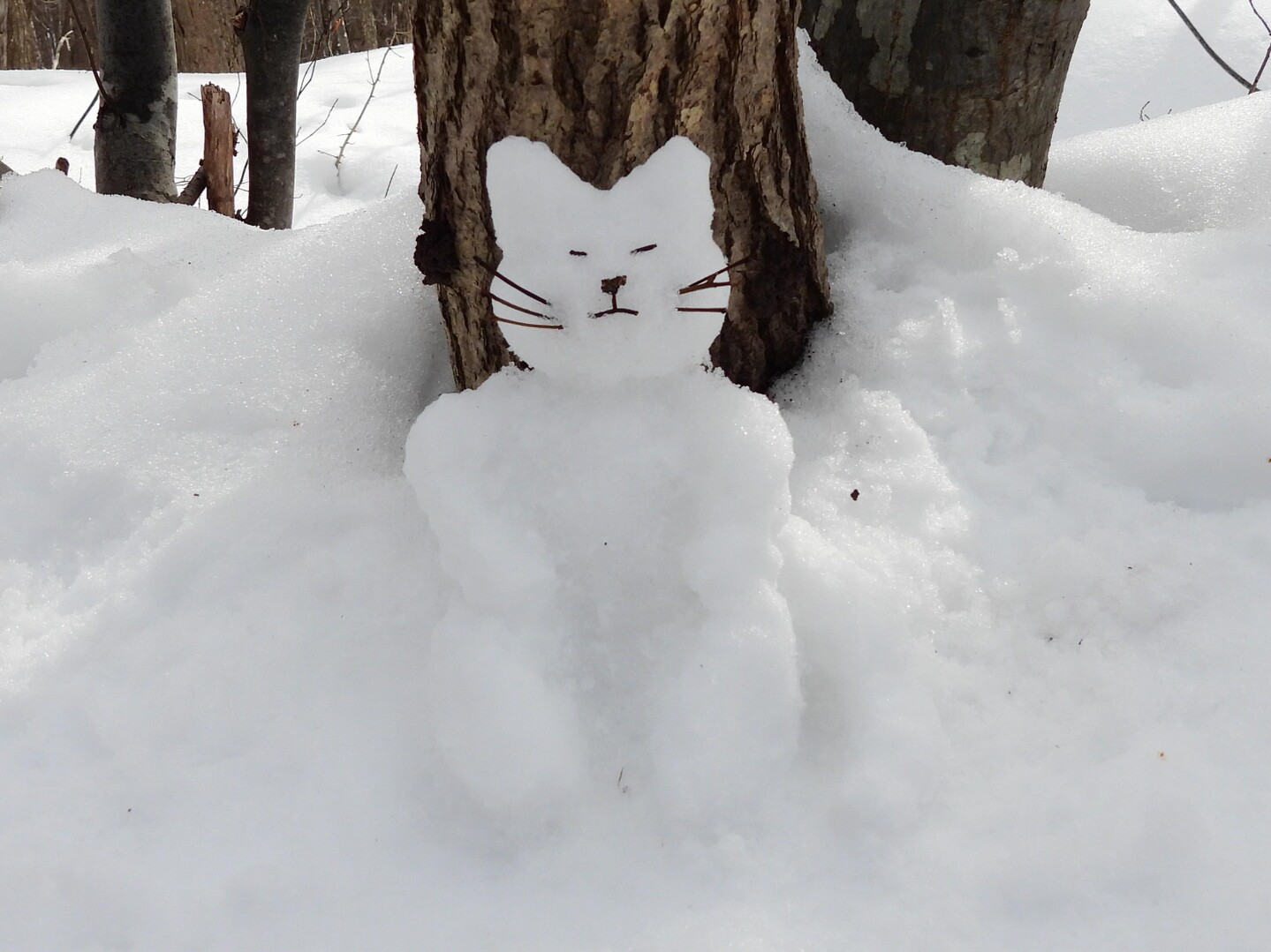 ソロっと桜山（連れ） / pon(夫) ＆ 連れ(妻)さんの札幌市の活動データ | YAMAP / ヤマップ