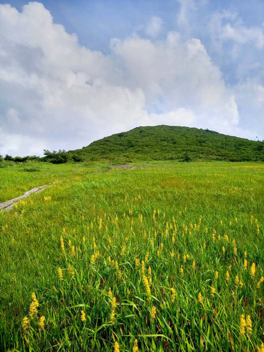 7/27 栗駒山 / Satoさんのモーメント | YAMAP / ヤマップ