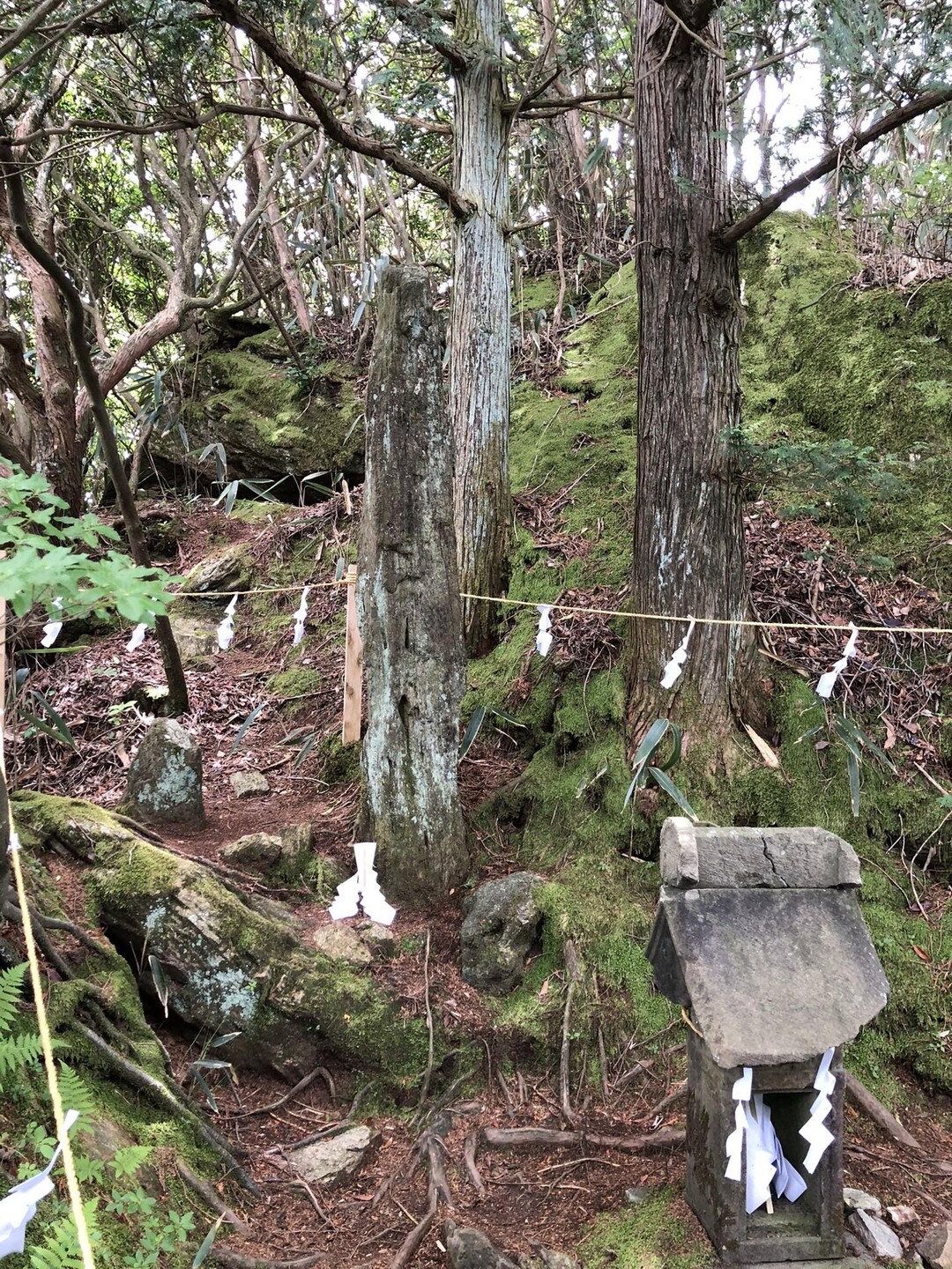 御岩山・高鈴山 / Dr.Eng_hiroさんの日立アルプストレイル・神峯山の活動データ | YAMAP / ヤマップ