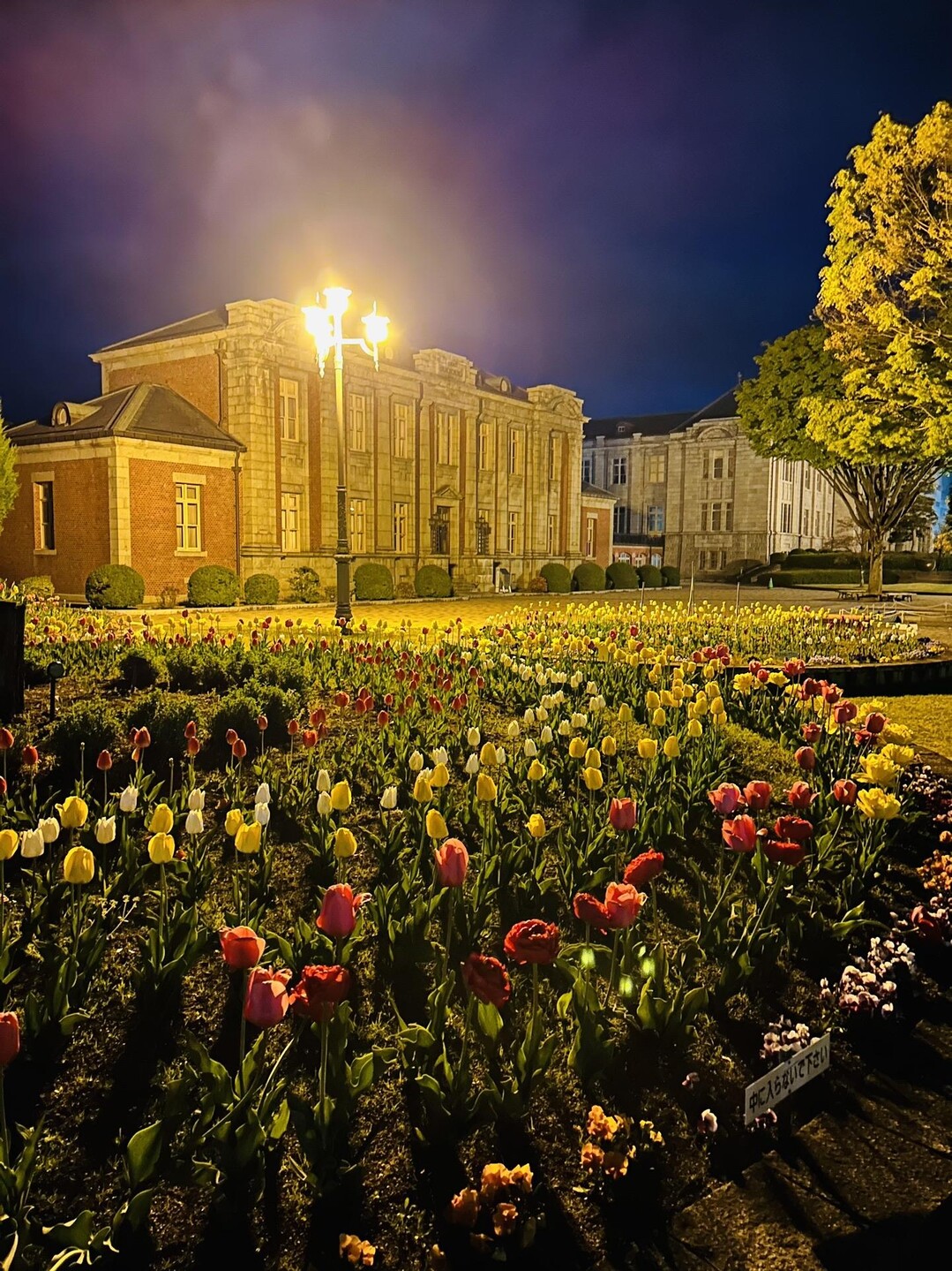 20kしようと思ったけど時間切れRUN💦 千歳山⛰️ / ととさんの千歳山・猿岡山・戸神山の活動データ | YAMAP / ヤマップ