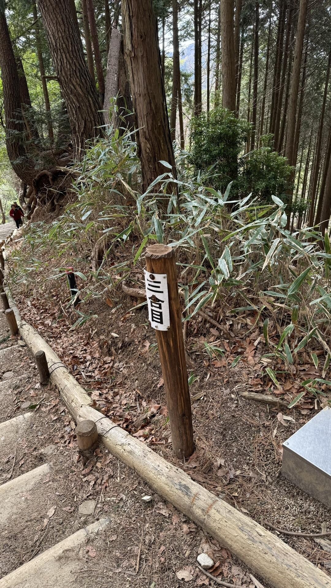 sarah🐶🧢🕶😎さんの投稿したフィールドメモ | YAMAP / ヤマップ