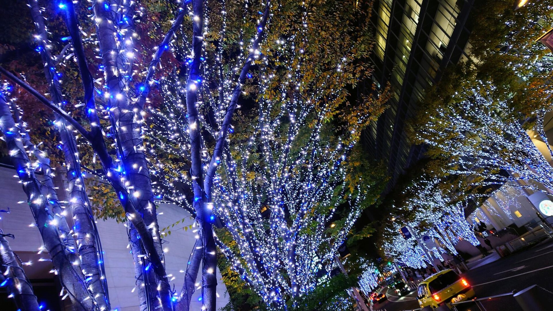 久しぶりの六本木けやき坂のイルミネーショ... / yanagingさんのモーメント | YAMAP / ヤマップ