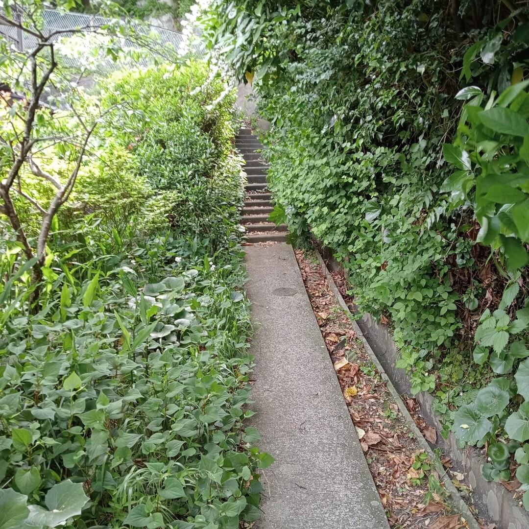 NORさんの投稿したフィールドメモ | YAMAP / ヤマップ