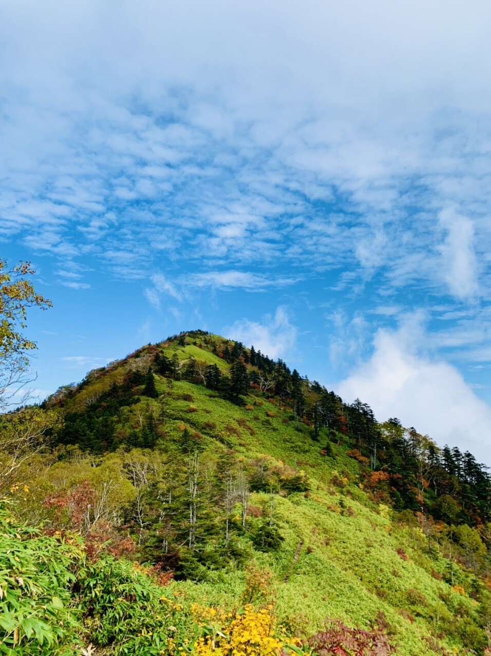 黒姫山 / saccoさんの黒姫山の活動データ | YAMAP / ヤマップ