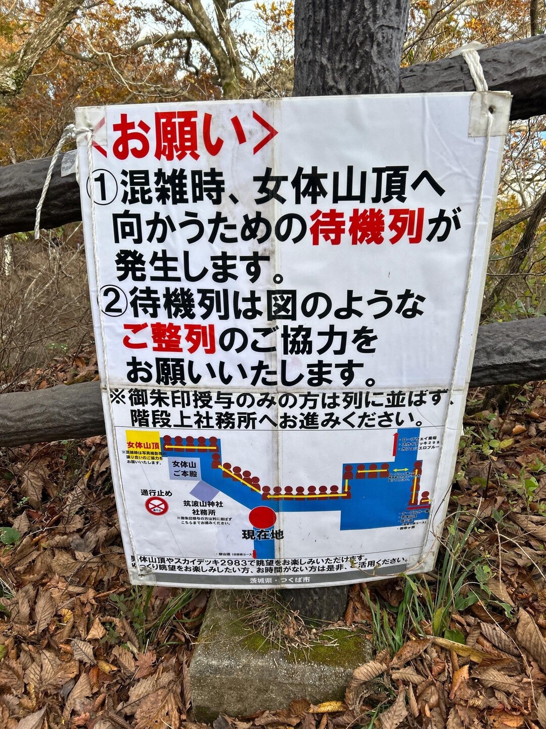 みかん🍊買い 筑波山（女体山）・筑波山（男体山） / tottuanさんの筑波山の活動データ | YAMAP / ヤマップ