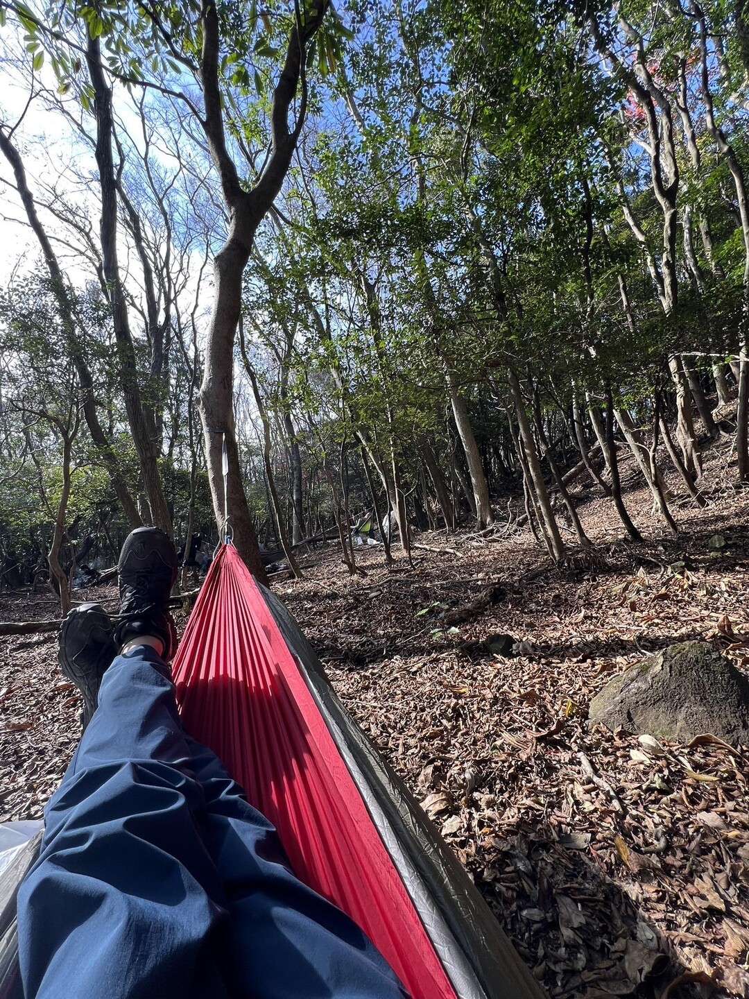 ゆるゆるハンモックハイク / Shin Gさんの畝原山・鉾立山・三ッ頭山の活動データ | YAMAP / ヤマップ