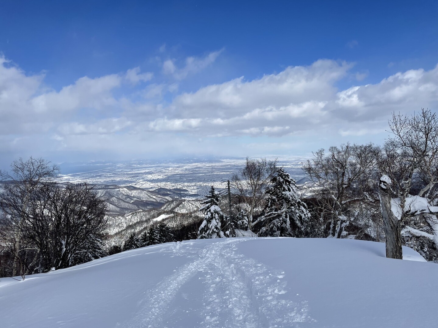 百松沢山 / akorenaさんの百松沢山の活動日記 | YAMAP / ヤマップ