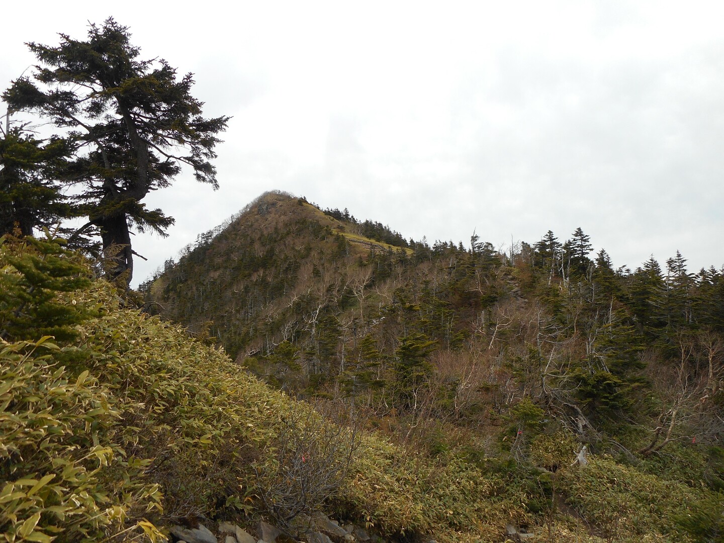 （過去ログ）2015-6-5 四阿山 / くらうどさんの四阿山・根子岳の活動データ | YAMAP / ヤマップ