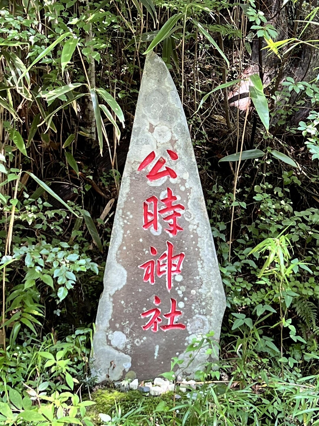 久しぶりの金時山 / misaさんの金時山・明神ヶ岳の活動データ | YAMAP / ヤマップ