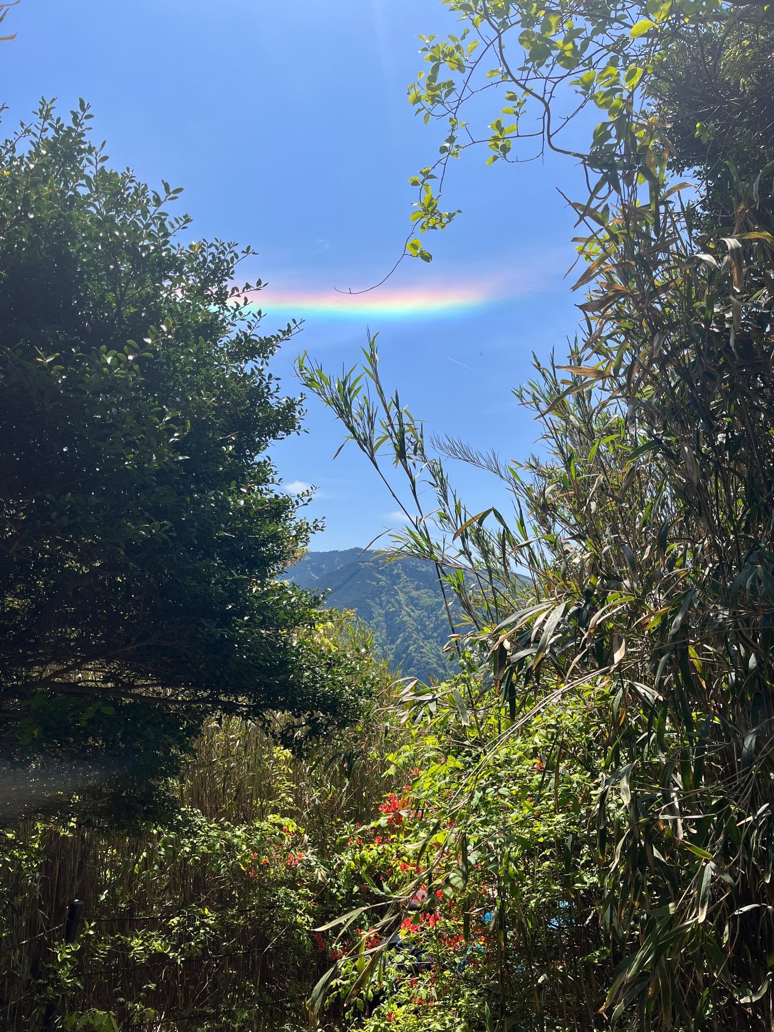 2023年5月3日大和葛城山へツツジを見... / do-yanさんのモーメント | YAMAP / ヤマップ