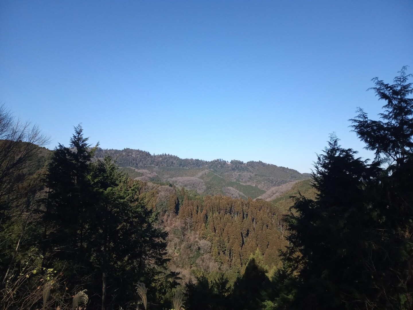 南高尾セブンサミッツ20230108 / URJさんのハイキングの活動データ | YAMAP / ヤマップ