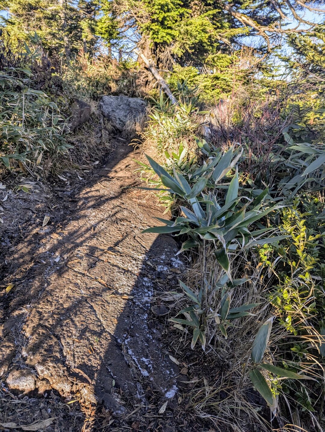 goroさんの投稿したフィールドメモ | YAMAP / ヤマップ