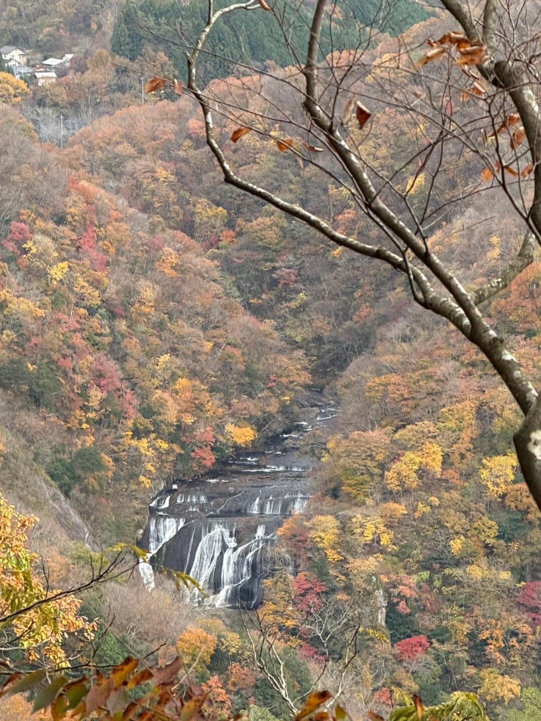 生瀬富士と茨城のジャンダルム 袋田の滝 ️ / まいちゃんさんの生瀬富士・大子アルプスの活動日記 | YAMAP / ヤマップ