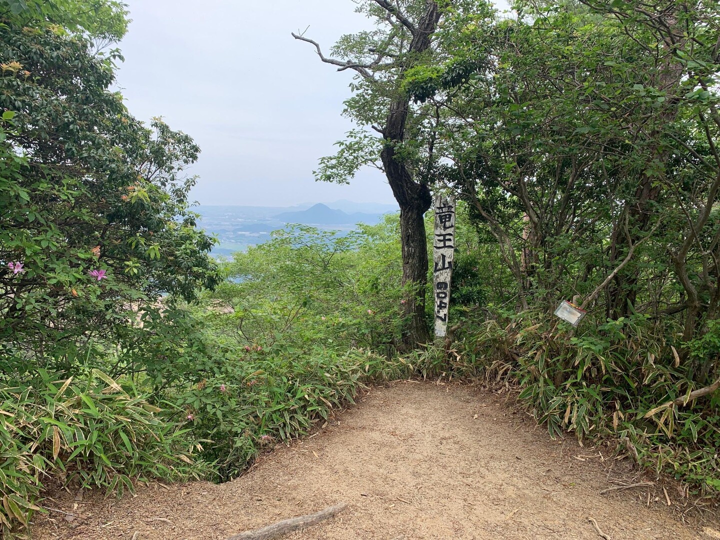 ヘルニアさんの投稿したフィールドメモ | YAMAP / ヤマップ