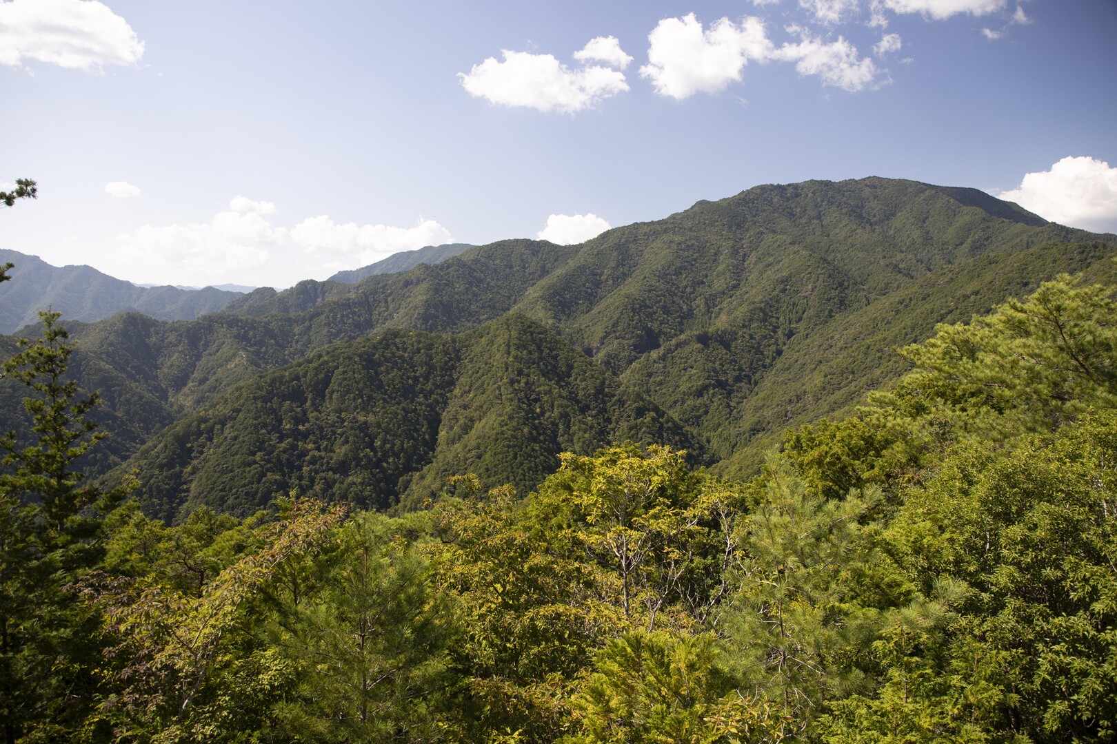愛知県民の森 / tshimaさんの鍵掛山・高土山の活動データ | YAMAP / ヤマップ