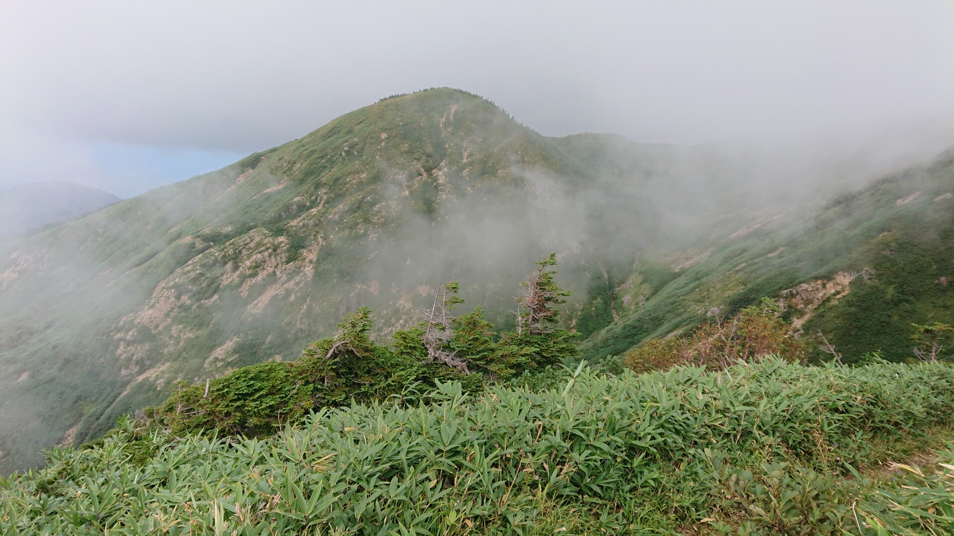 釈迦新道-2022-09-11 / Housaさんの白山・別山・銚子ヶ峰の活動データ | YAMAP / ヤマップ
