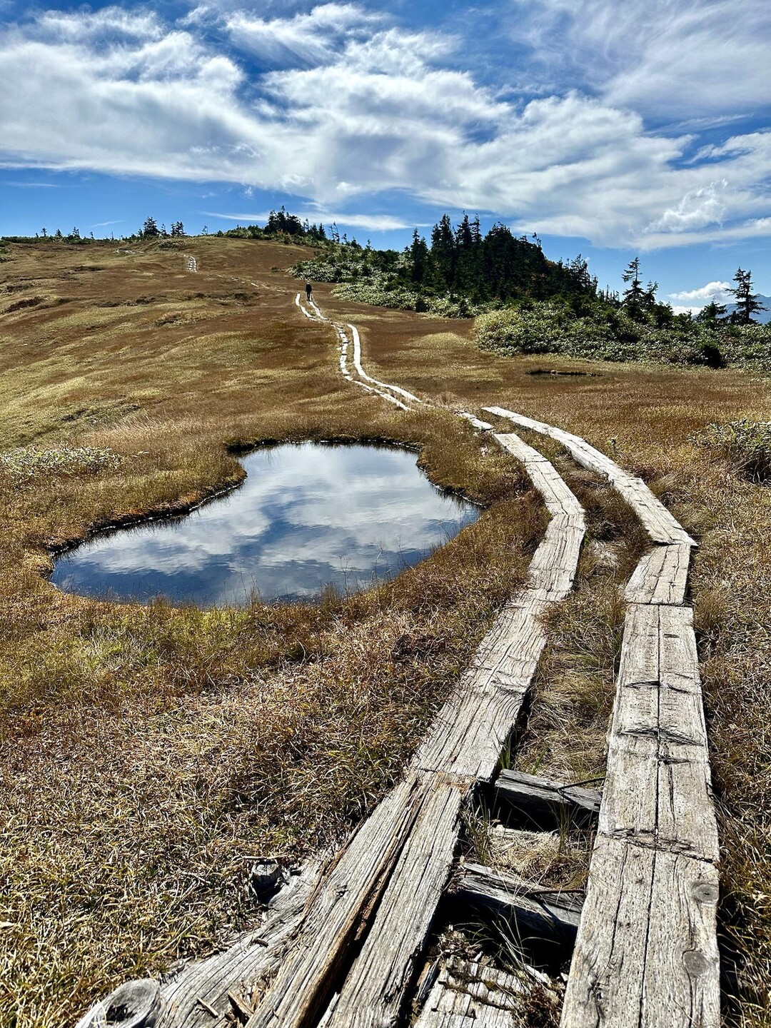 草紅葉🍁会津駒ヶ岳・中門岳 / Beniさんの会津駒ヶ岳の活動データ | YAMAP / ヤマップ