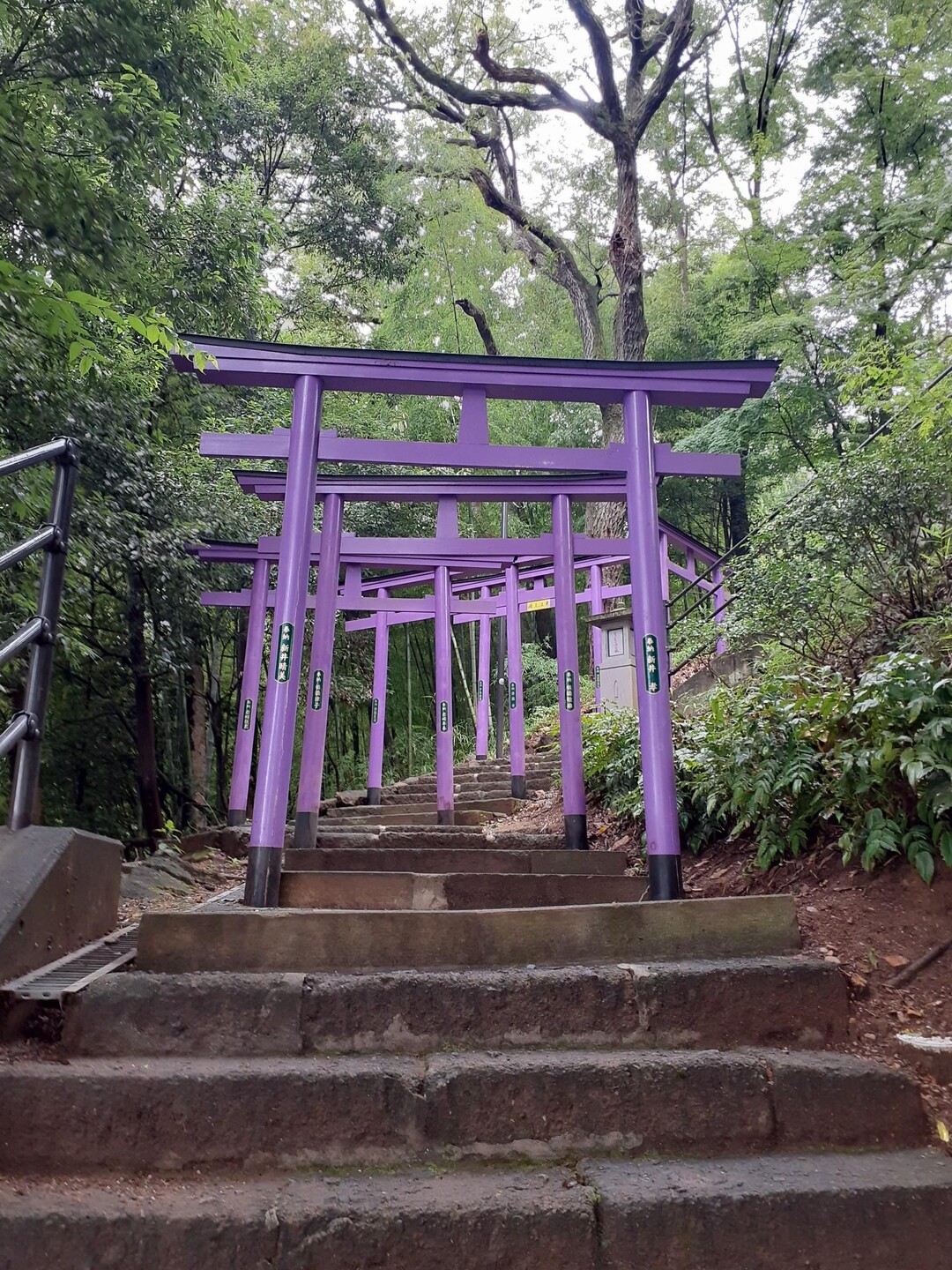 両崖山・行道山2023-7-9 / 🐏黒羊とろろ🐏さんの両崖山・仙人ヶ岳・石尊山の活動データ | YAMAP / ヤマップ