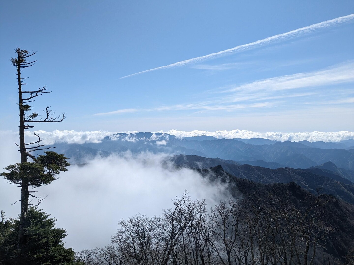 〈往復〉弥山〜八経ヶ岳〜明星ヶ岳 / mettaさんの八経ヶ岳の活動データ | YAMAP / ヤマップ
