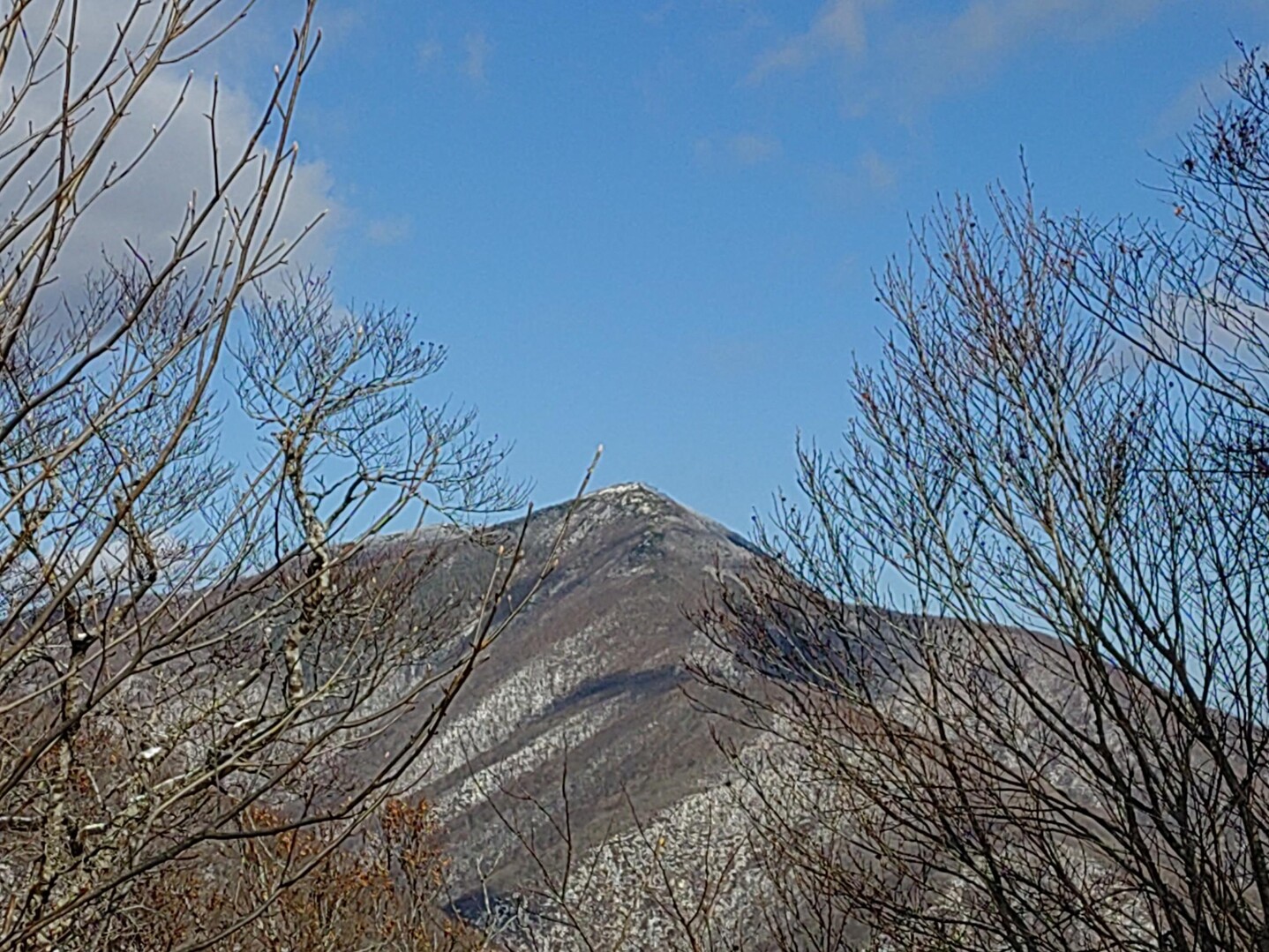 2024_1201_仙人山（仙人峠）遠野側→釜石側 / bakkyさんの雄岳（片羽山）の活動データ | YAMAP / ヤマップ