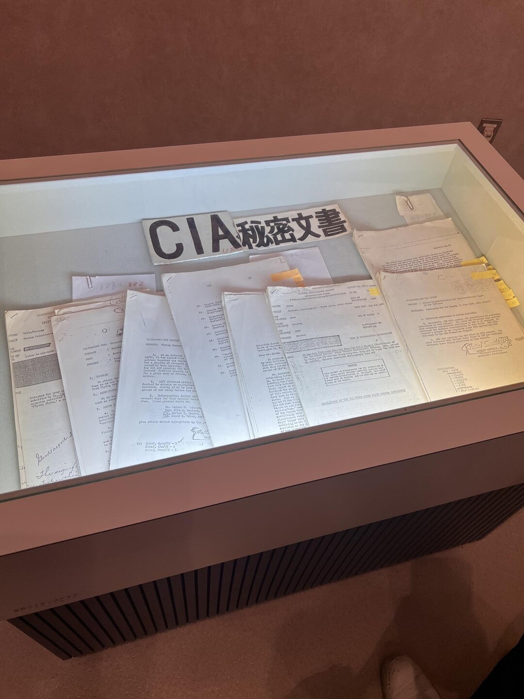 🛸UFO山👽千貫森🛸 / ダリオさんの女神山の活動データ | YAMAP / ヤマップ