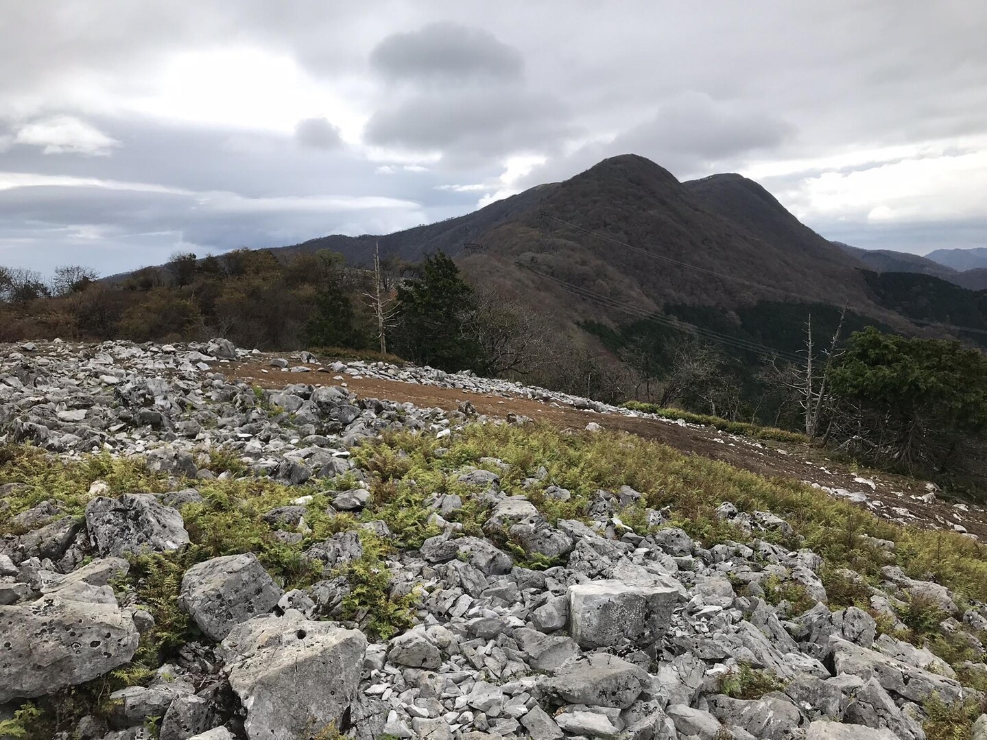 茶野・鈴ヶ岳 / mineさんの藤原岳・御池岳の活動データ | YAMAP / ヤマップ