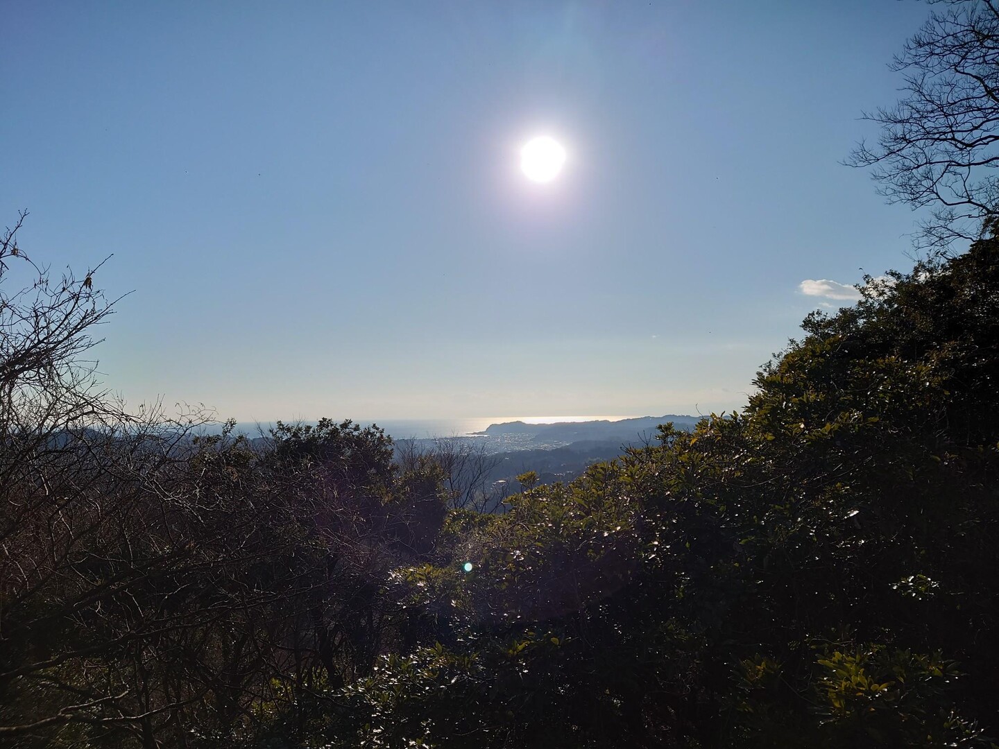 勝上山・鷲峰山・大平山・天園・天台山・胡桃山 / t2718さんの鎌倉アルプス（大平山・天台山）の活動日記 | YAMAP / ヤマップ