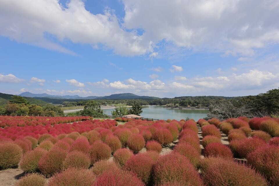 経塚山~七つ石山~縦走やめて”るるパーク” / miippさんの経塚山の活動データ | YAMAP / ヤマップ
