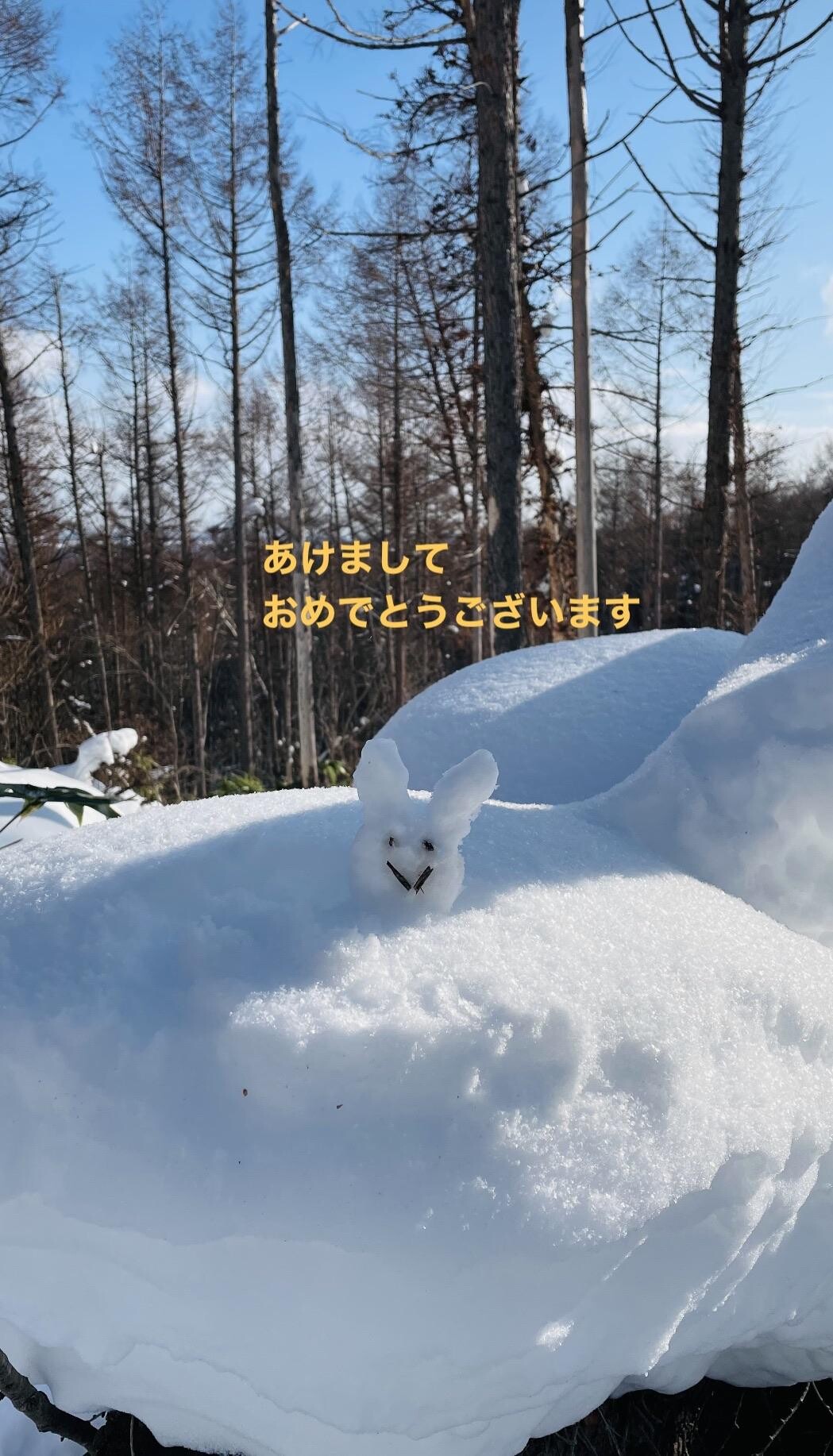 札幌台・白旗山 / kumiさんの白旗山の活動データ | YAMAP / ヤマップ