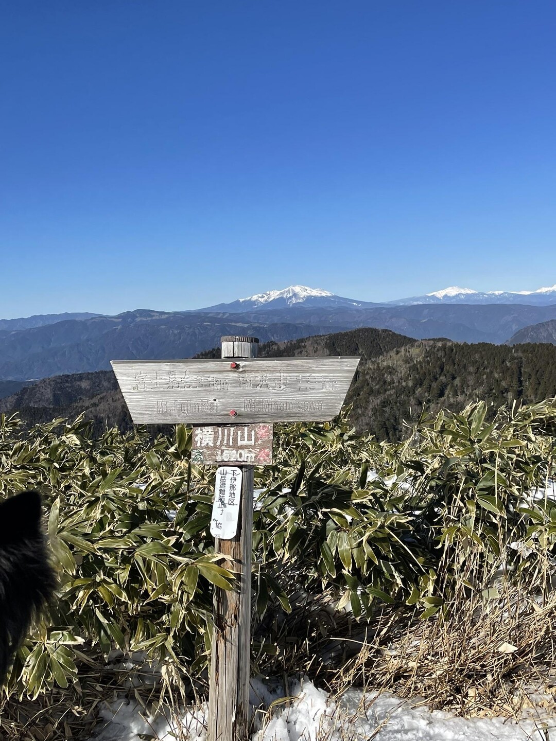 南沢山・横川山（湯舟沢山） / chiwachiwaさんの恵那山・大判山・神坂山の活動データ | YAMAP / ヤマップ