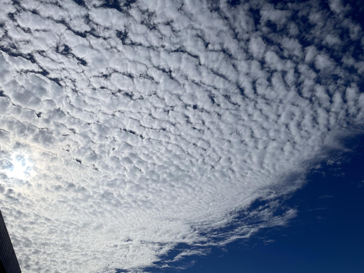 秋らしい雲になってきました🤩 360度... / GONKEさんのモーメント | YAMAP / ヤマップ