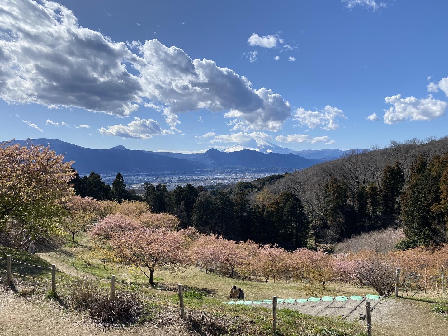 里山ハイキング 高山・曽我山・不動山・浅間山 / tosiさんの不動山・浅間山・曽我山の活動データ | YAMAP / ヤマップ