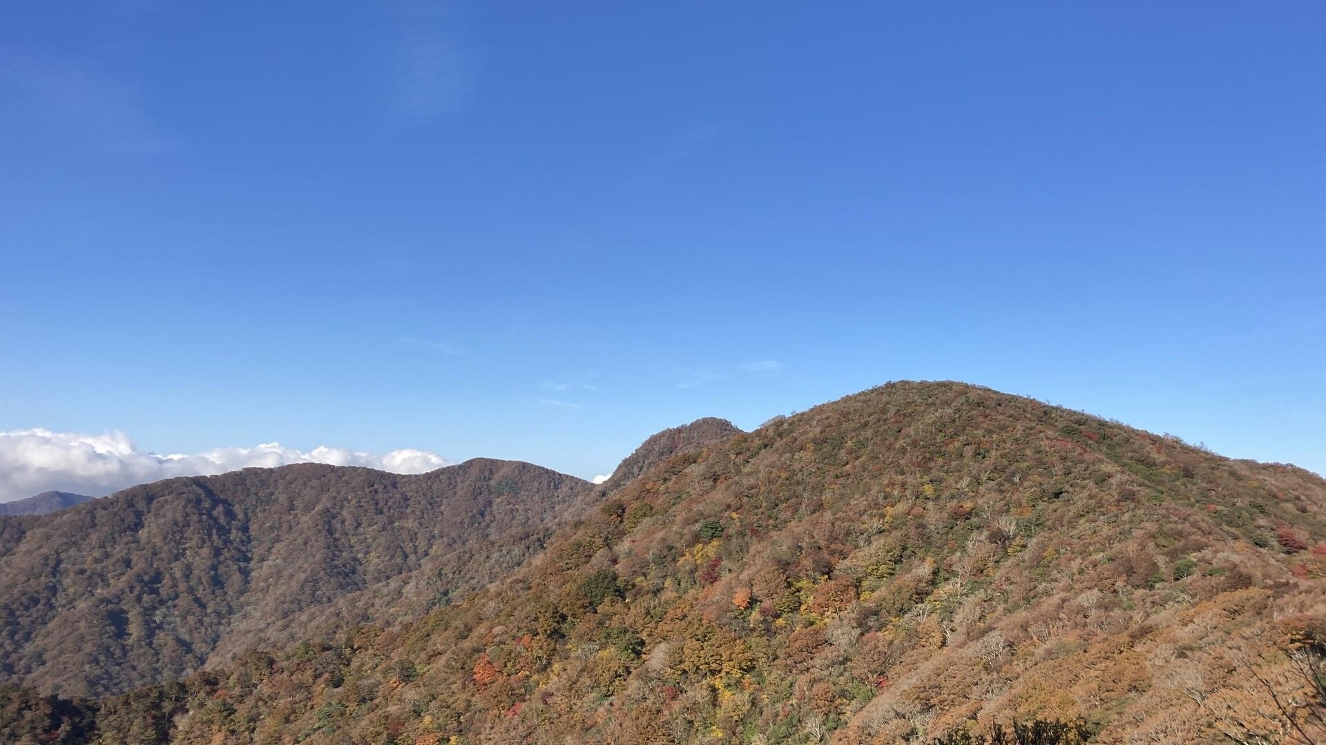 天城山 / sameさんの天城山・鉢ノ山・三筋山の活動データ | YAMAP / ヤマップ