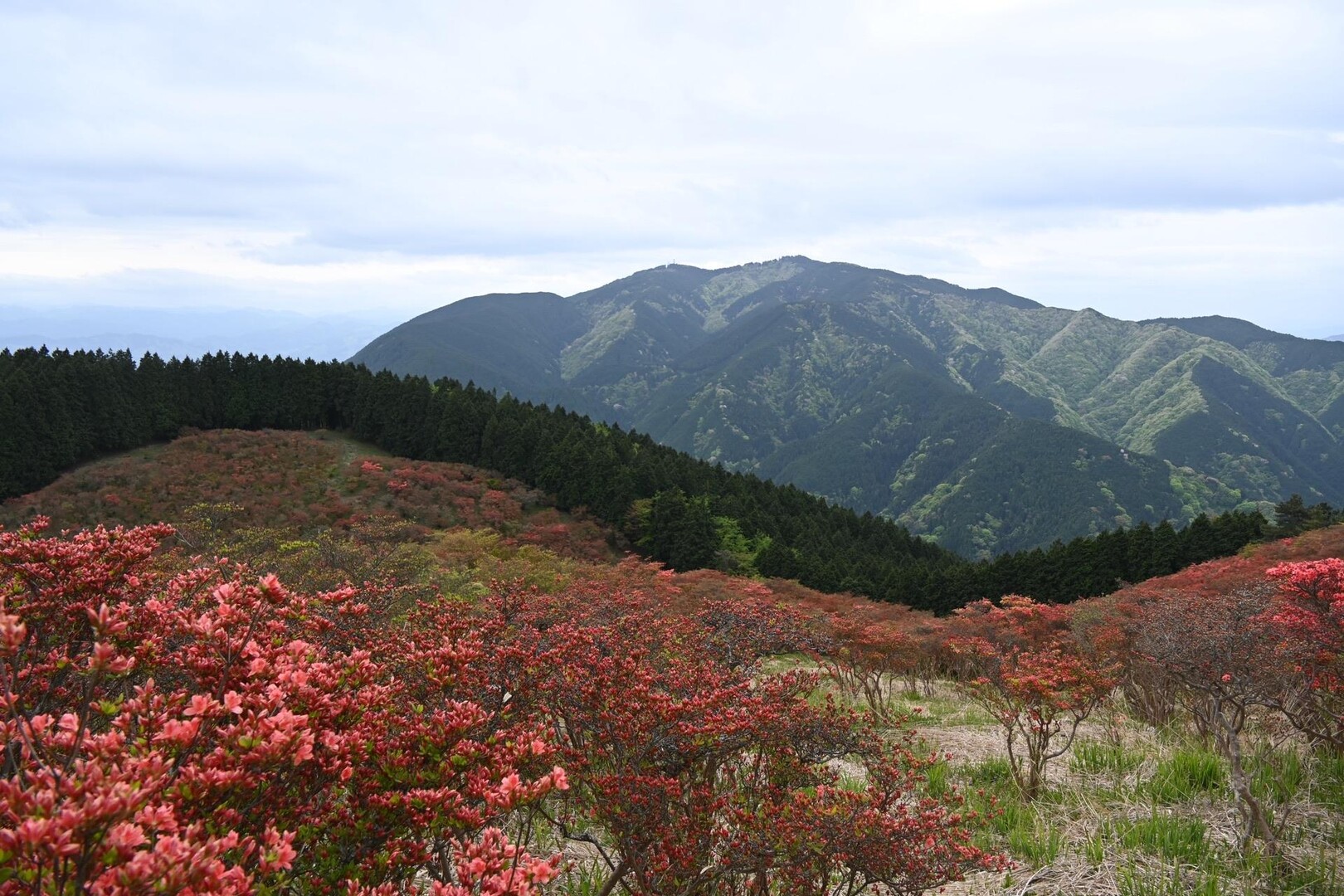大和葛城山 / hikaさんの金剛山・二上山・大和葛城山の活動データ | YAMAP / ヤマップ