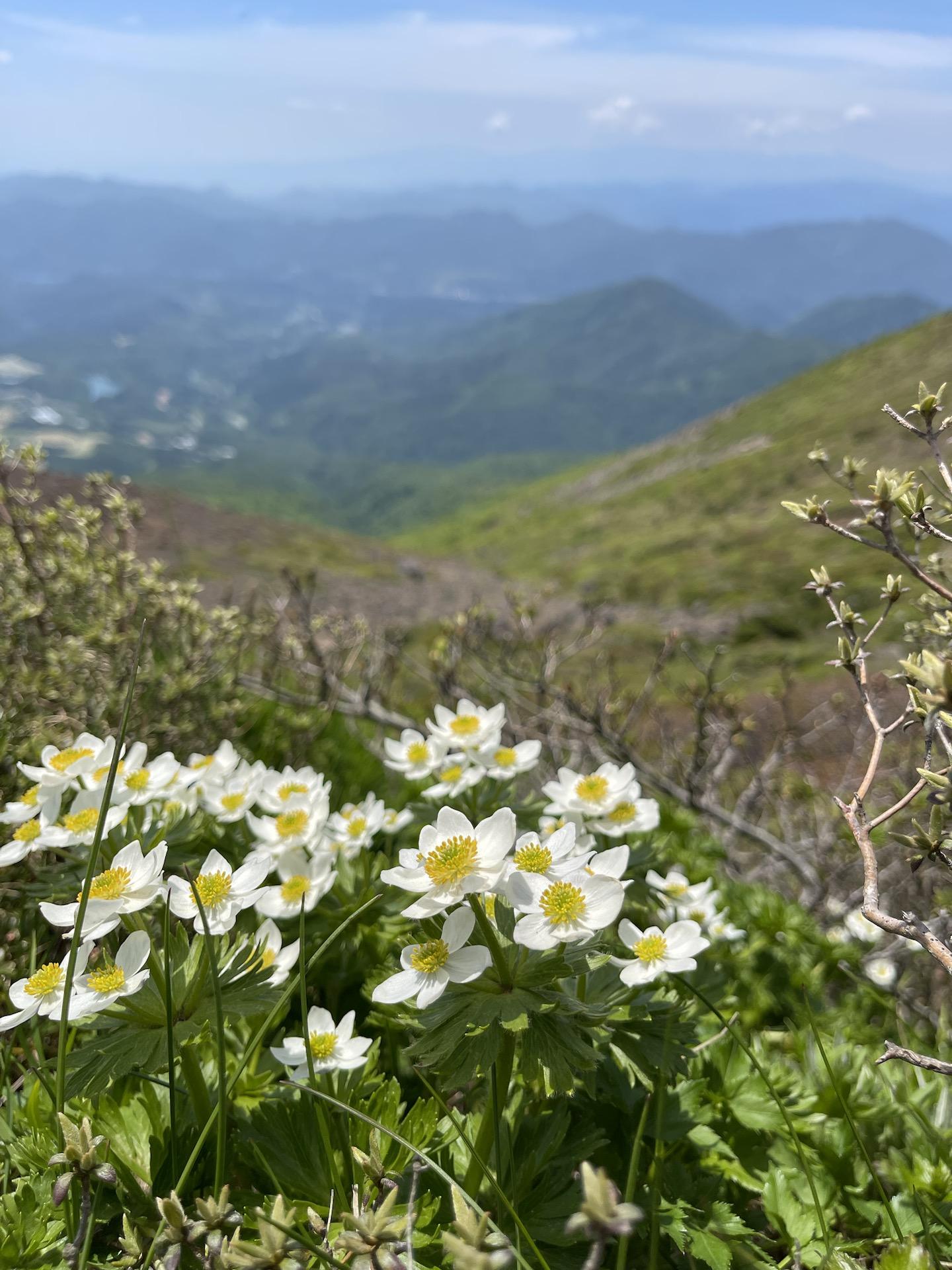 不忘山（御前岳） / yukaさんの蔵王山・雁戸山・不忘山の活動データ | YAMAP / ヤマップ