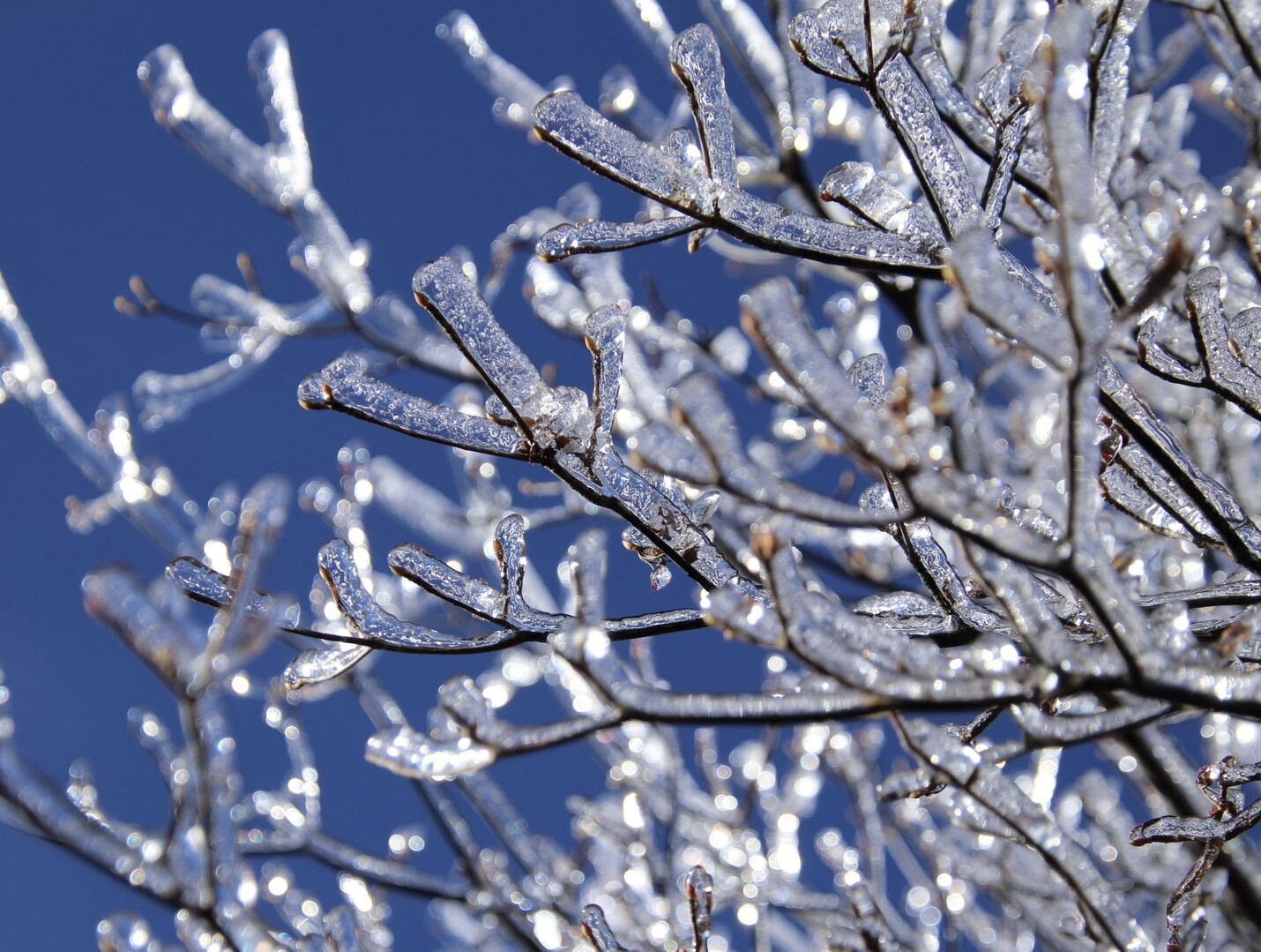 sparkling diamonds〜扇ヶ鼻 / kumiさんの九重山（久住山）・大船山・星生山の活動データ | YAMAP / ヤマップ