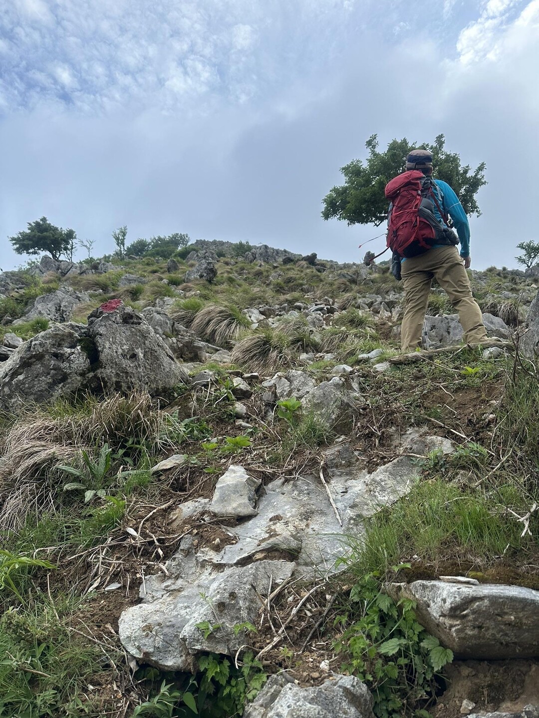 霊仙山 / ns.smさんの霊仙山の活動データ | YAMAP / ヤマップ