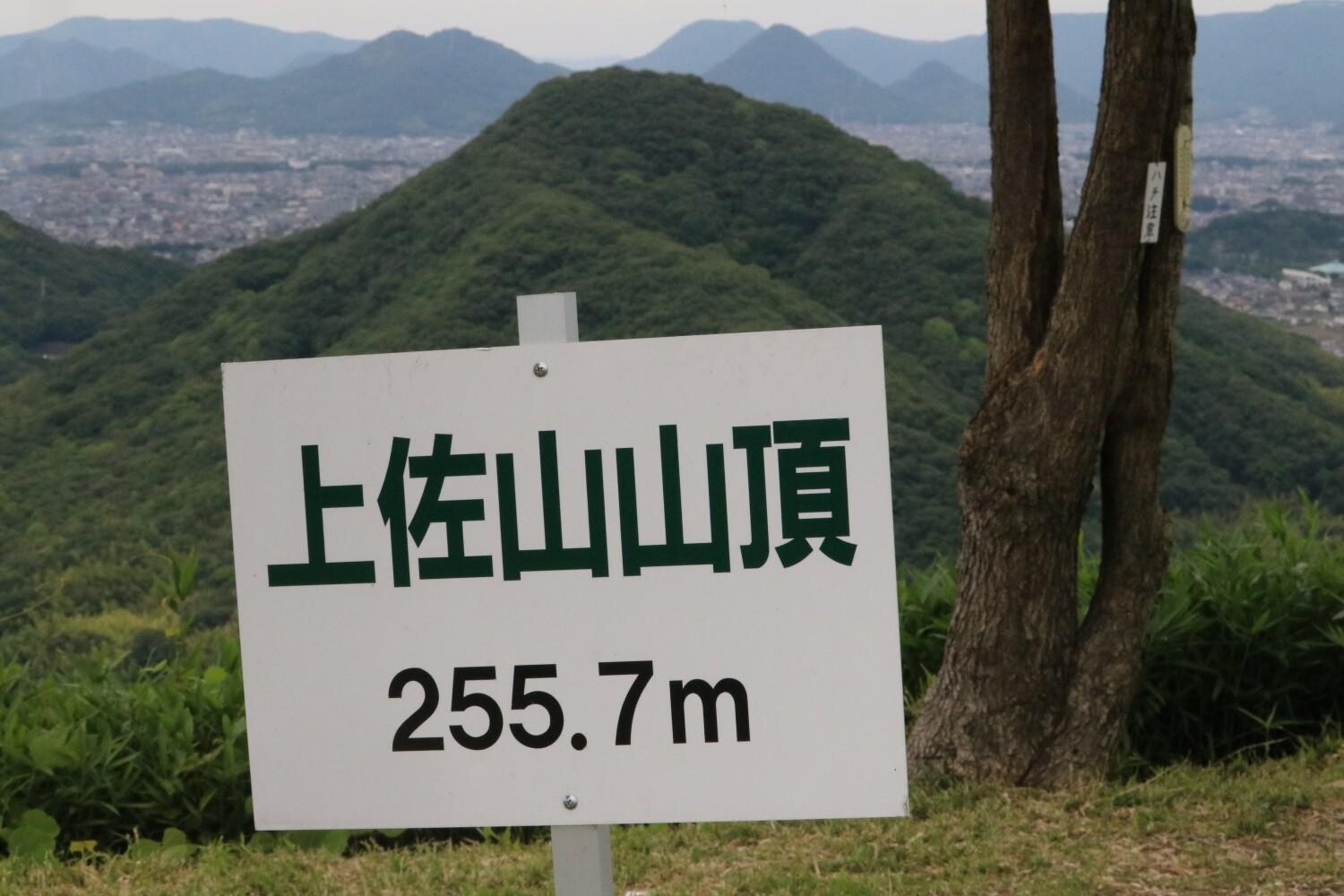 上佐山2024-06-08 / yumさんの登山の活動データ | YAMAP / ヤマップ