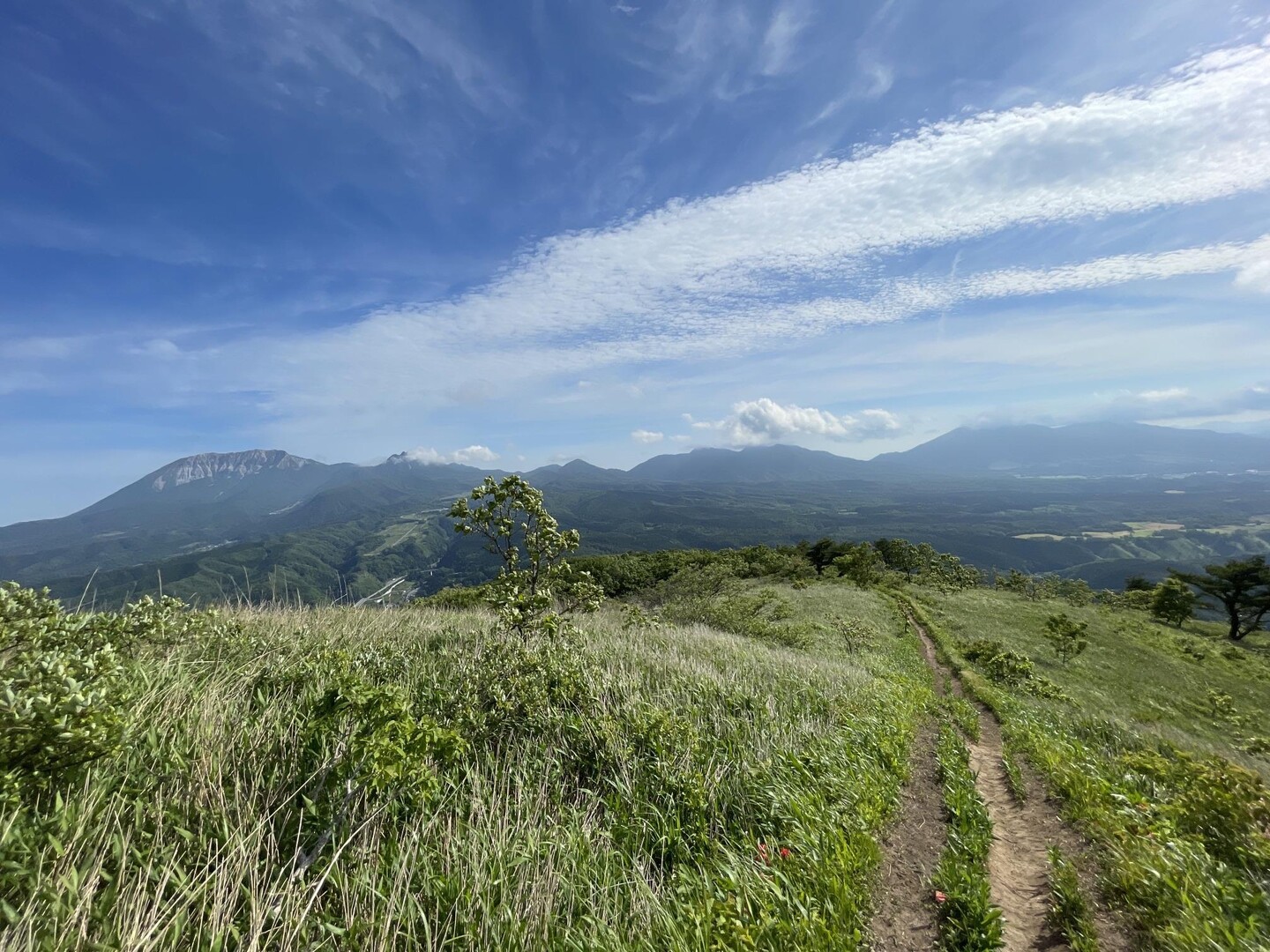 三平山 / umonさんの毛無山の活動データ | YAMAP / ヤマップ