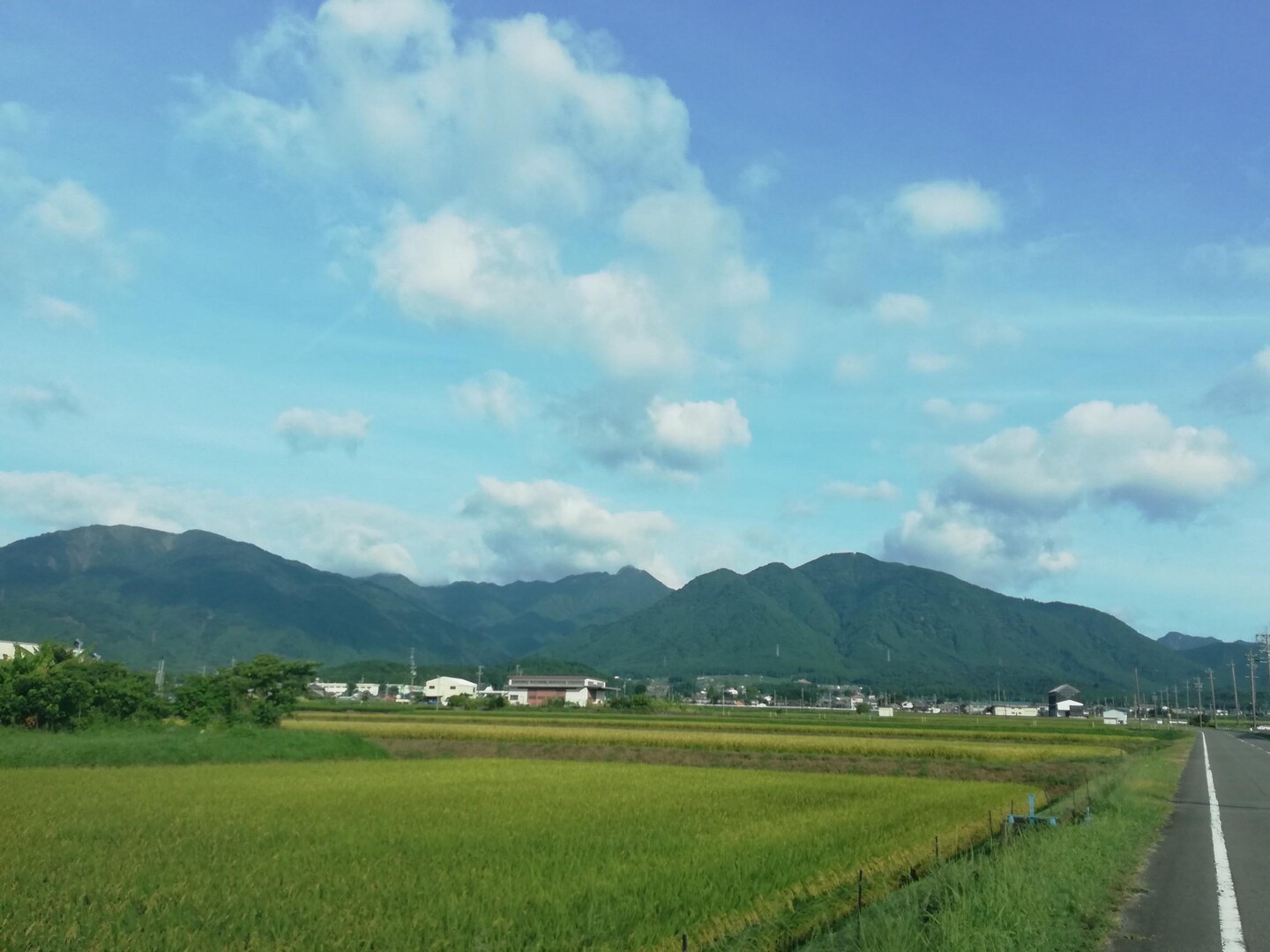 雲母峰Ⅱ峰・雲母峰・雲母西峰・P791・鎌ヶ岳 / りえこさんの御在所岳（御在所山）・雨乞岳の活動データ | YAMAP / ヤマップ