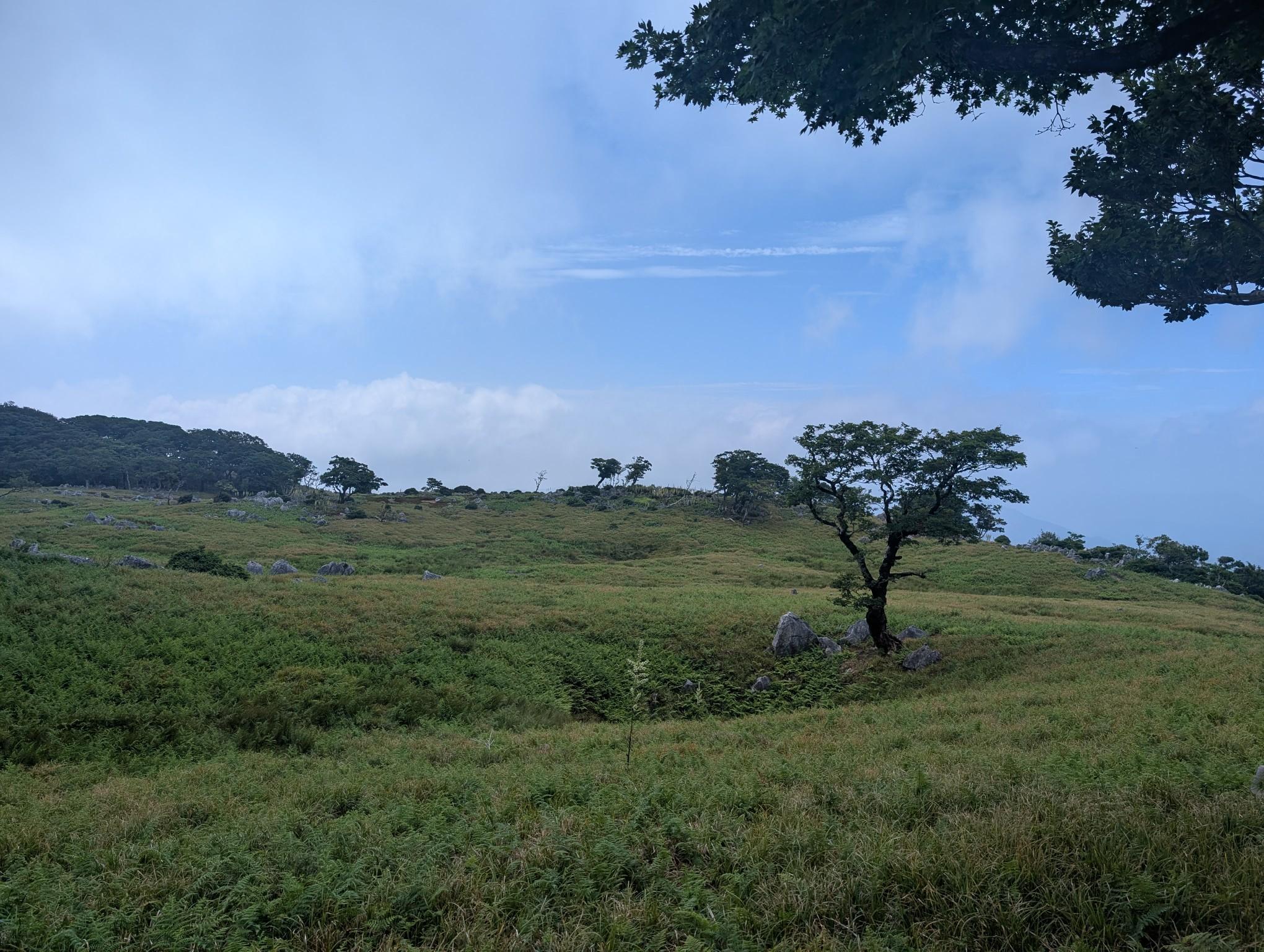 鈴北岳・御池岳 / u-minさんの藤原岳・御池岳の活動データ | YAMAP / ヤマップ