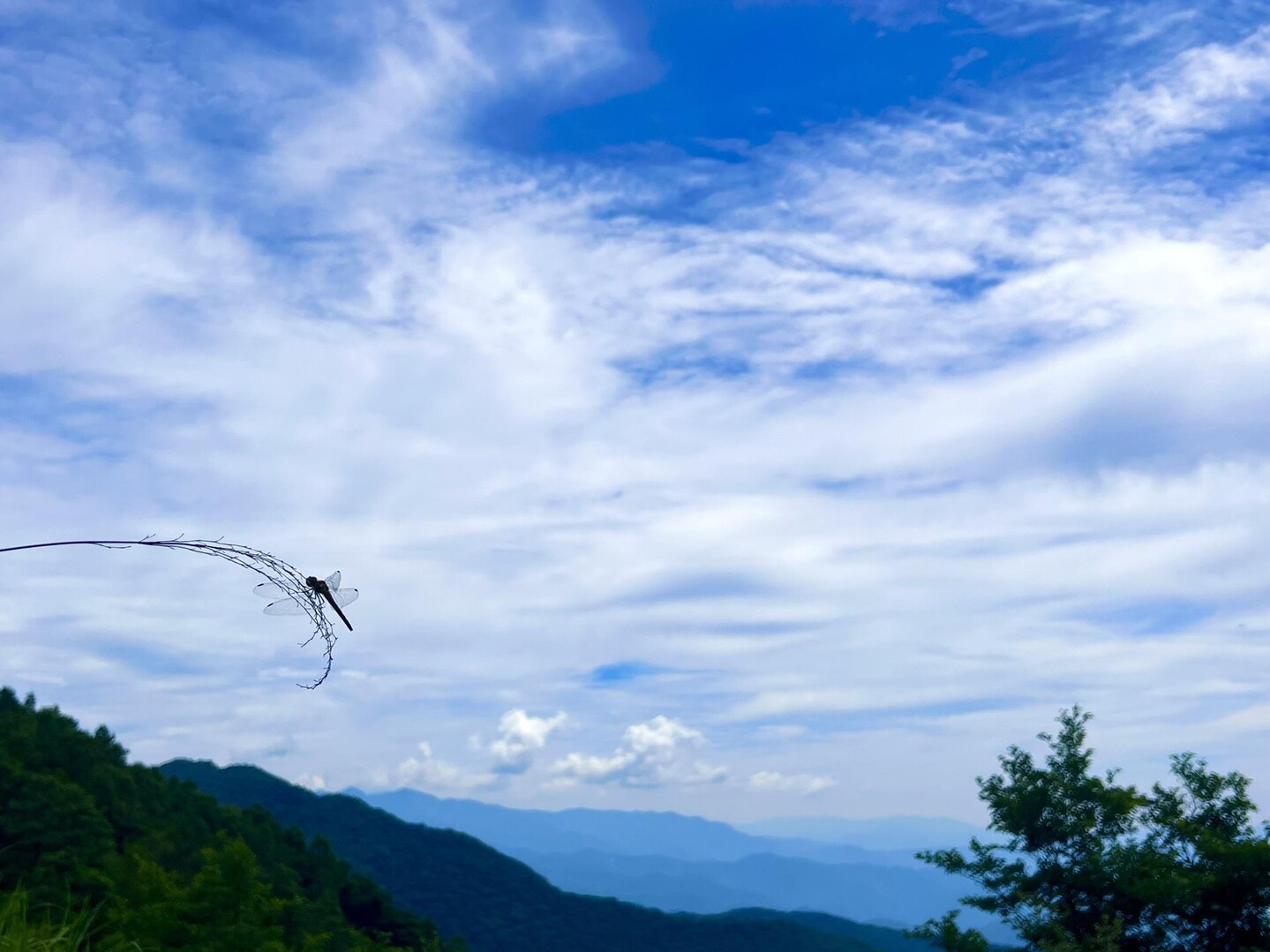 定期的に💫👉地蔵岳へ〽𓄹📡•.*🔆 / miiさんの赤城山・黒檜山・荒山の活動データ | YAMAP / ヤマップ